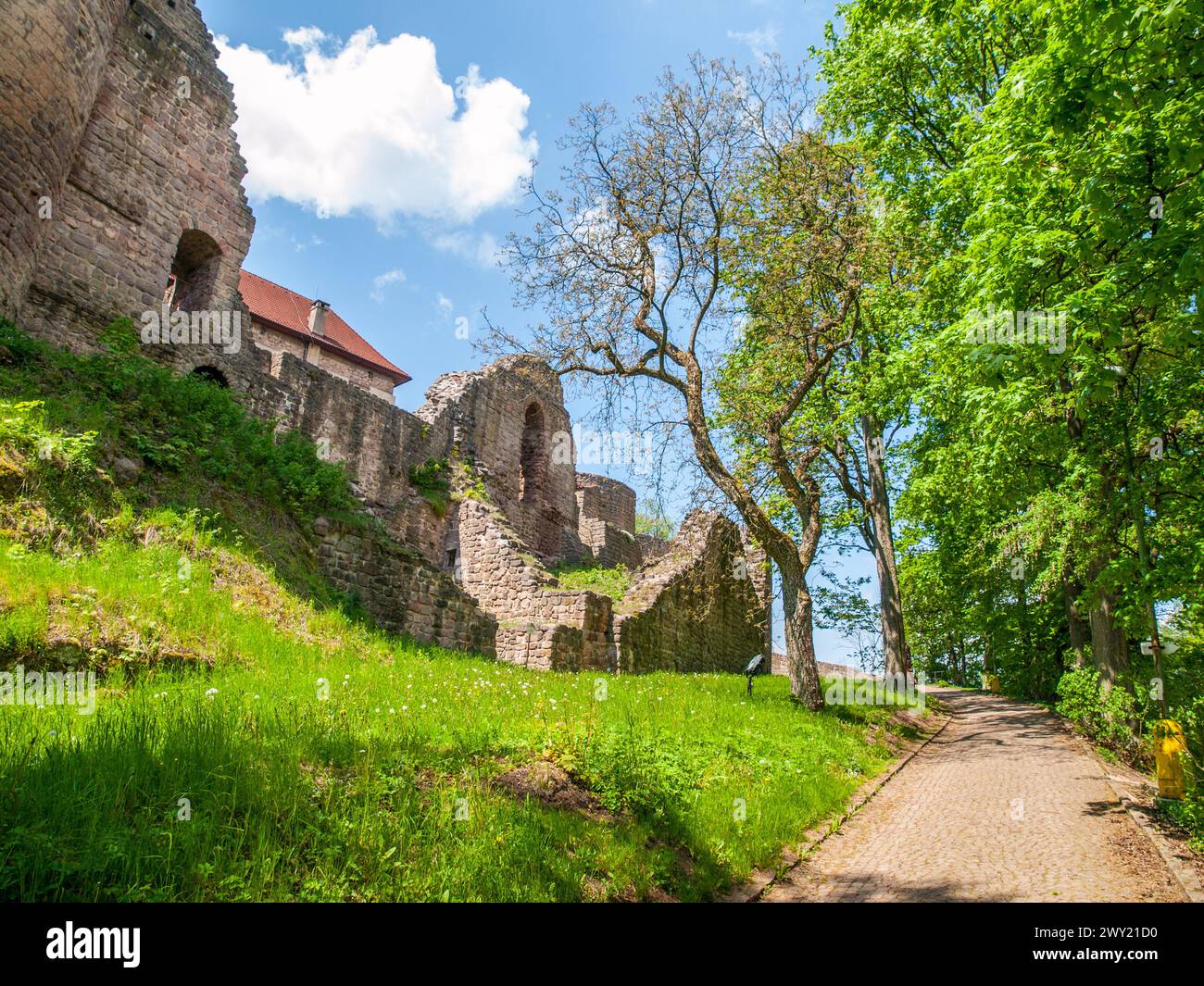 A scenic pathway leads to the entrance of the historic Pecka Castle ...