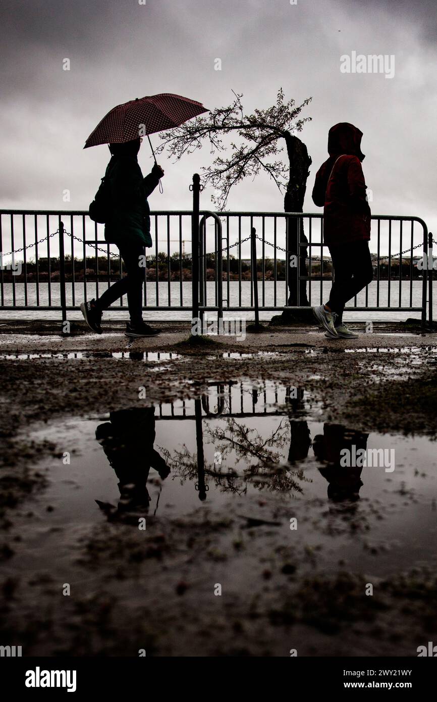 Washington, United States. 03rd Apr, 2024. Visitors walk past the ...