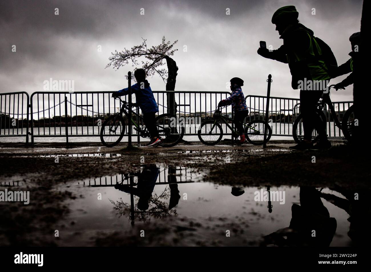 Washington, United States. 03rd Apr, 2024. Visitors ride bikes past the ...