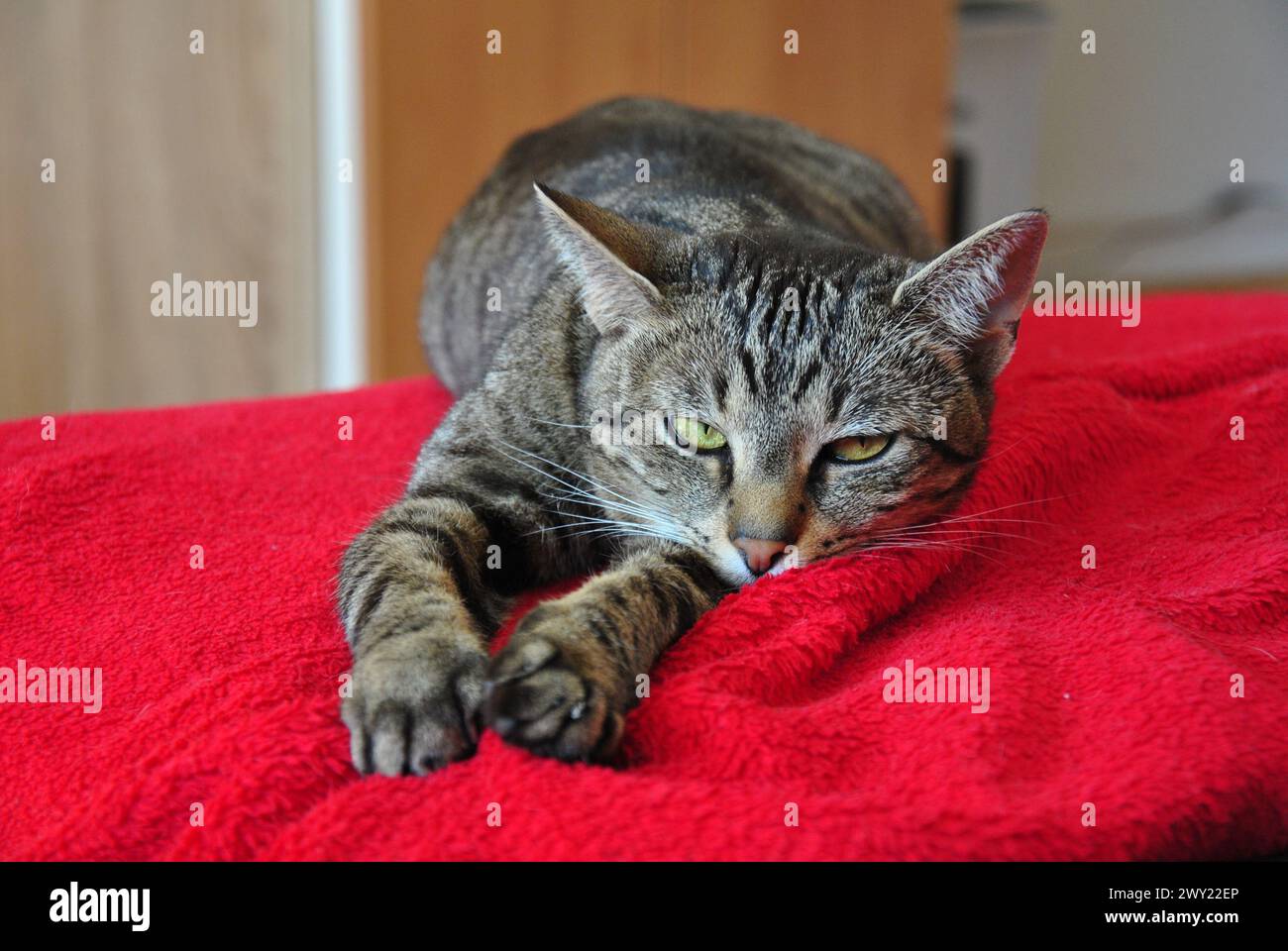 Mour hi-res stock photography and images - Alamy