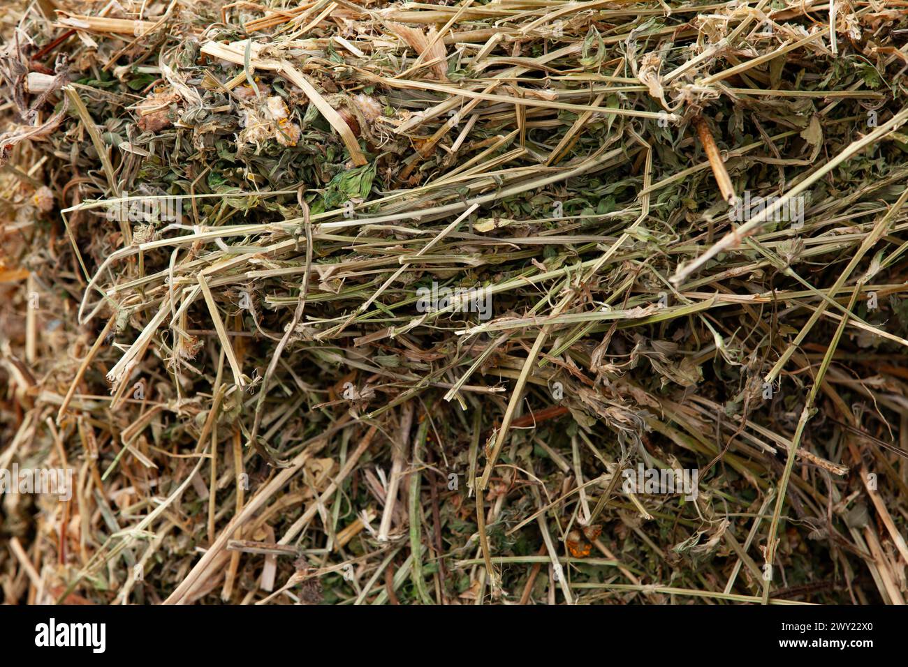 Cellulose fiber hi-res stock photography and images - Alamy