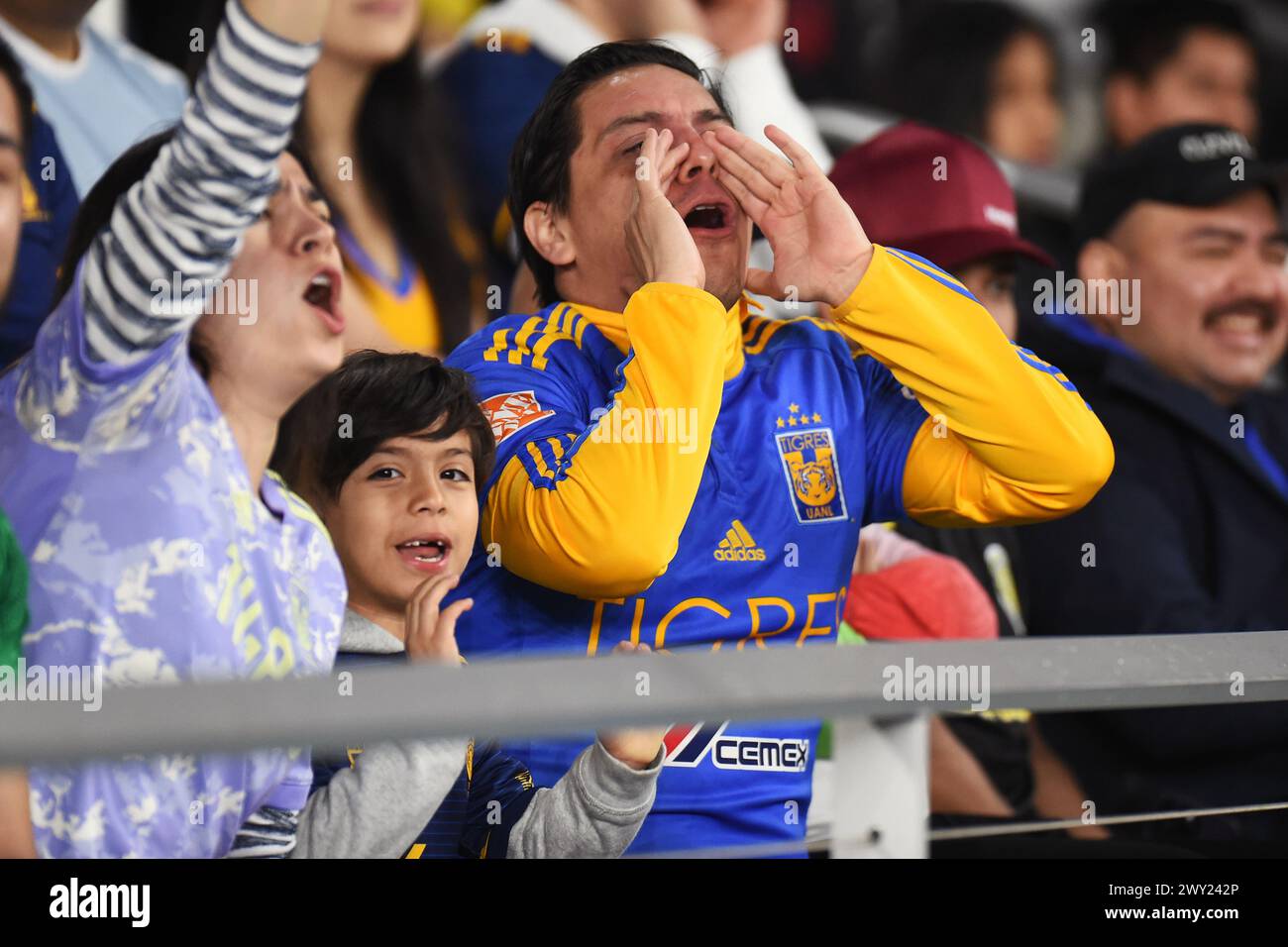 Tigres uanl 2024 hi-res stock photography and images - Alamy