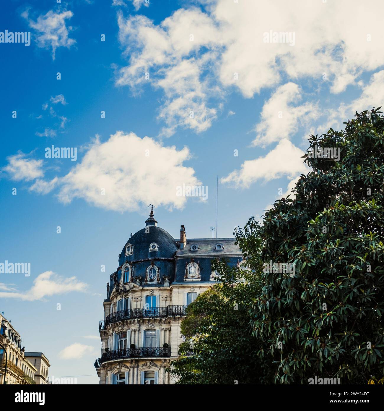 Modernist blue building in a green park on a beautiful sky in a urban ...