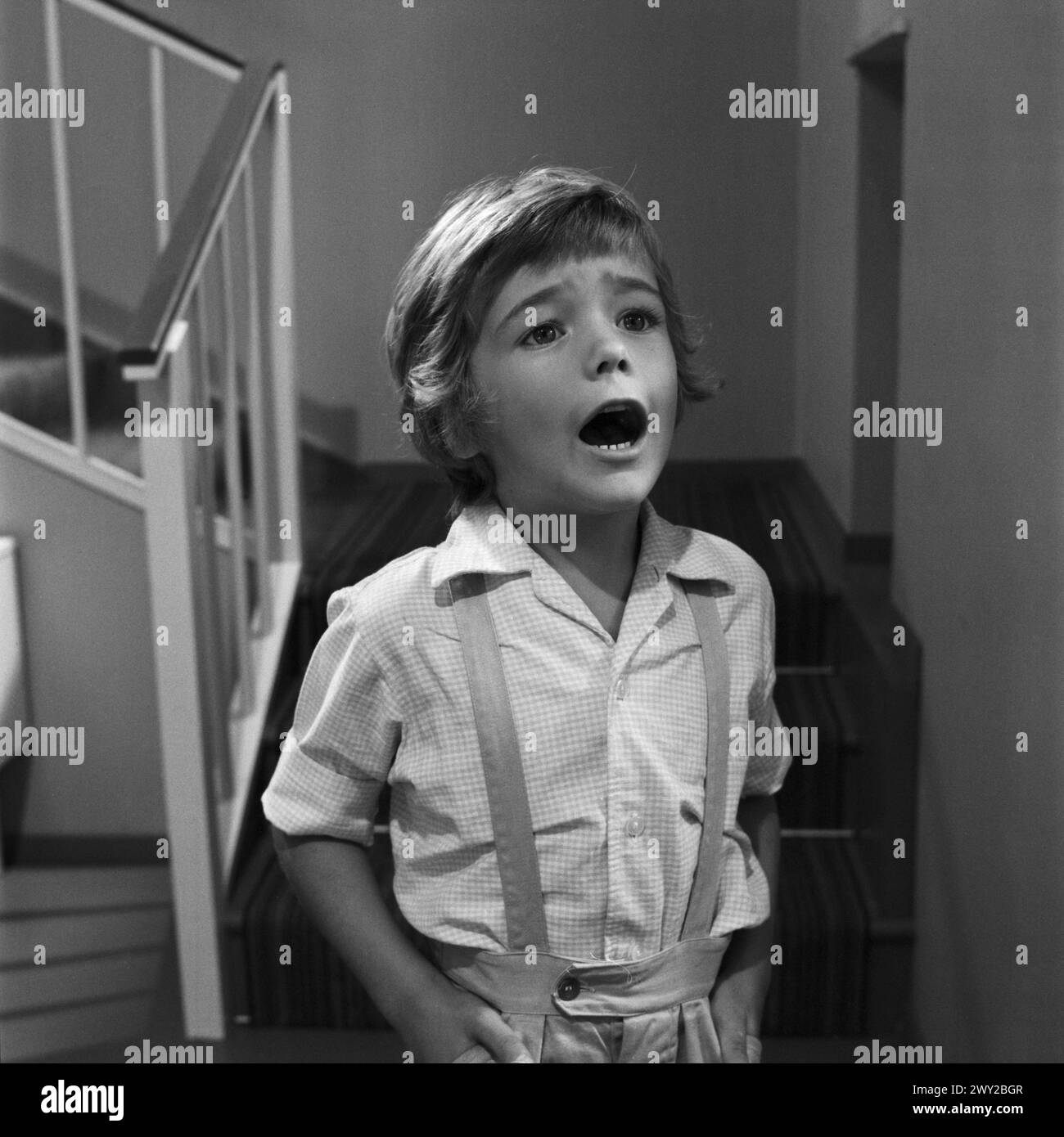 Nachbarn sind zum Ärgern da, Spielfilm, Deutschland 1970, Regie: Peter ...