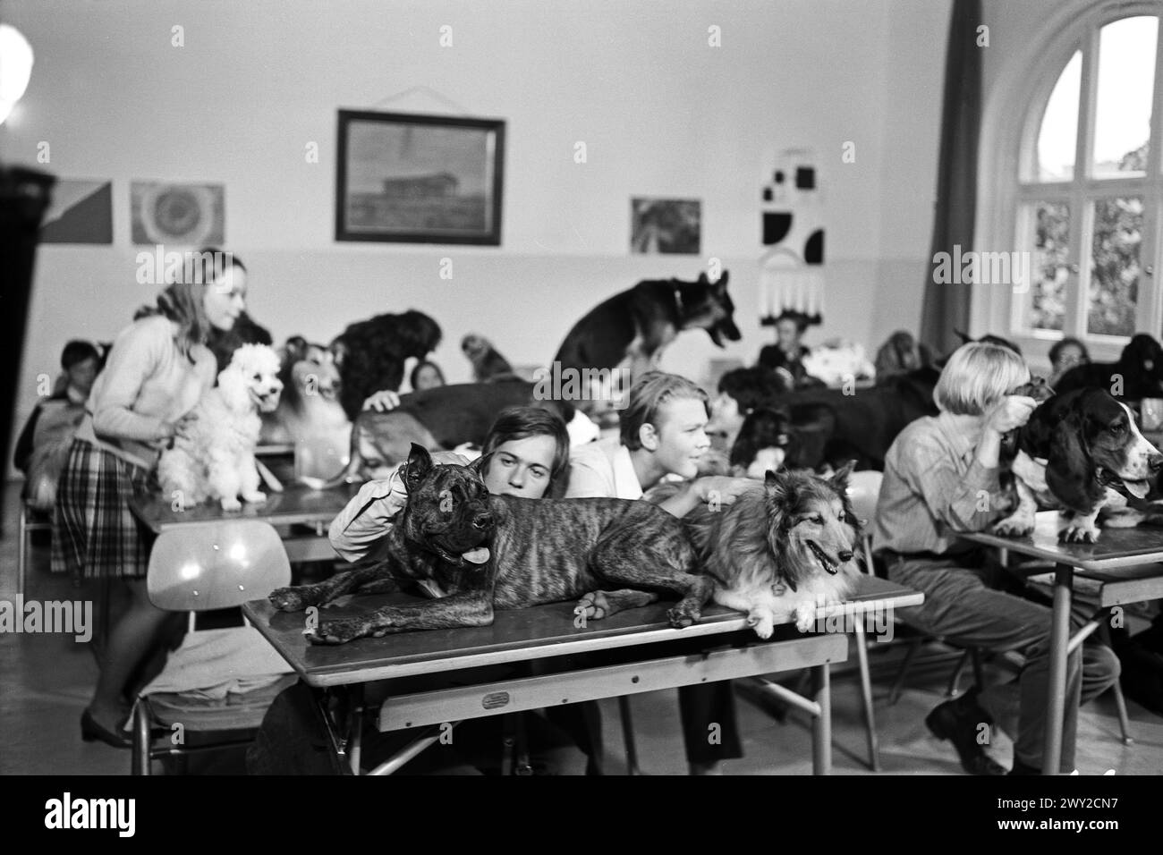 Hurra, die Schule brennt!, Spielfilm, Deutschland 1969, Regie: Werner ...