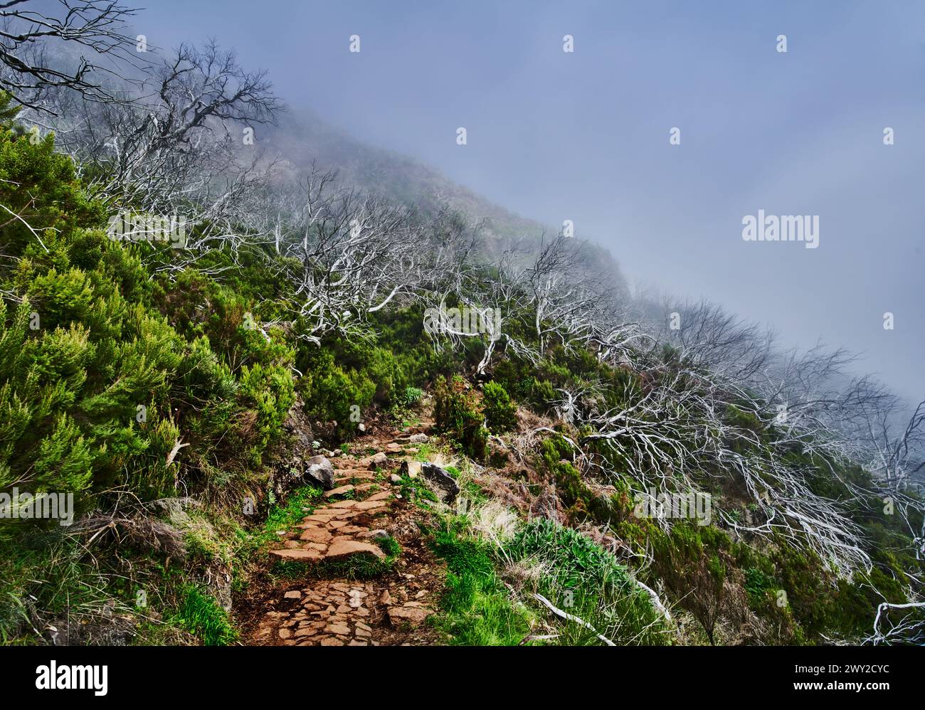 Pico rural hi-res stock photography and images - Alamy