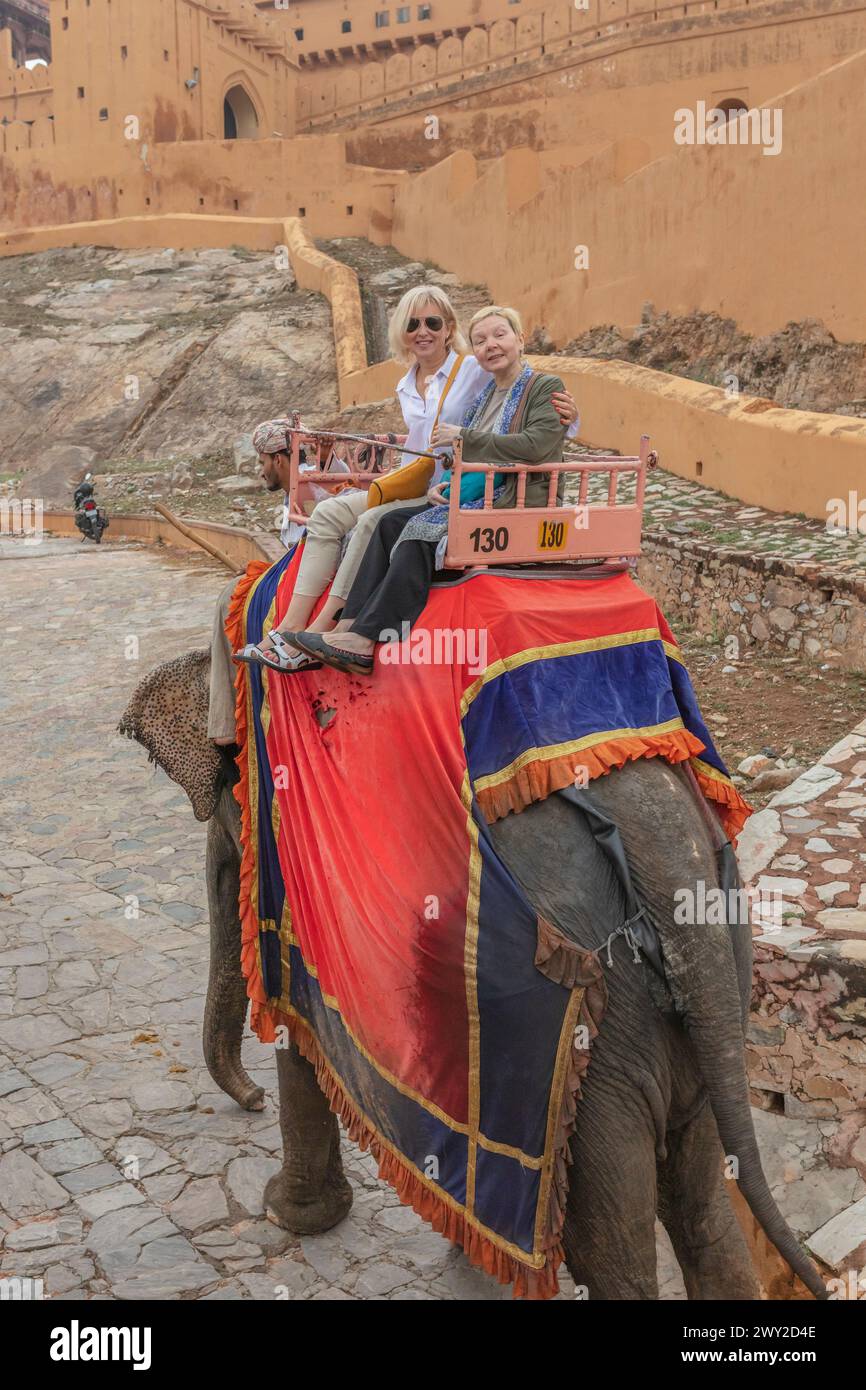 Elephants carrying tourists to the Amber Fort, Jaipur, Rajasthan, India ...