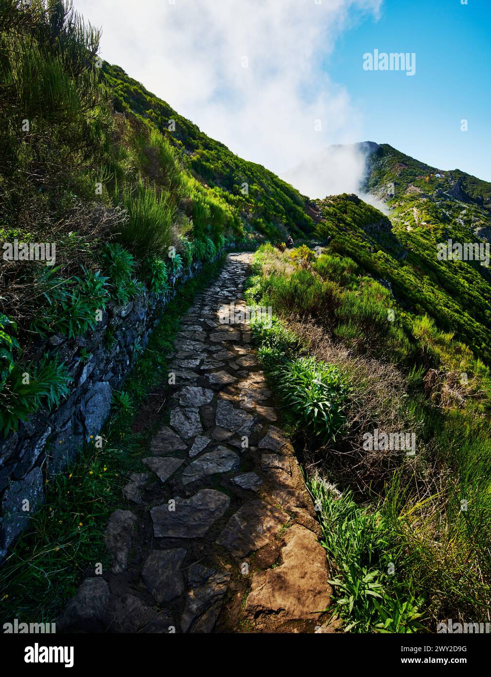 PR1 trail, Pico do Arierio To Pico Ruivo Hike, On Madeira Island ...