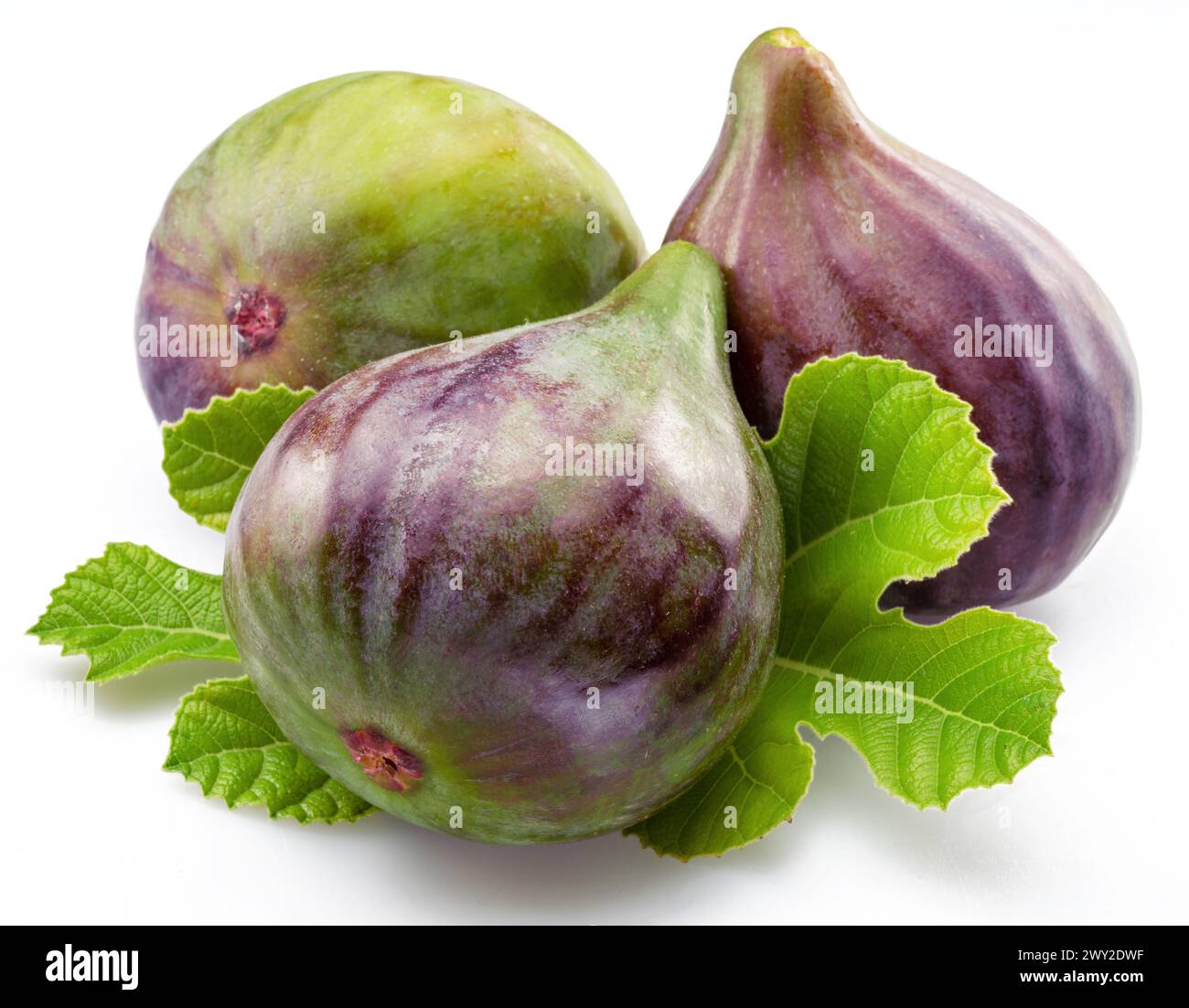 Fig fruits with fig leaves isolated on white background Stock Photo - Alamy