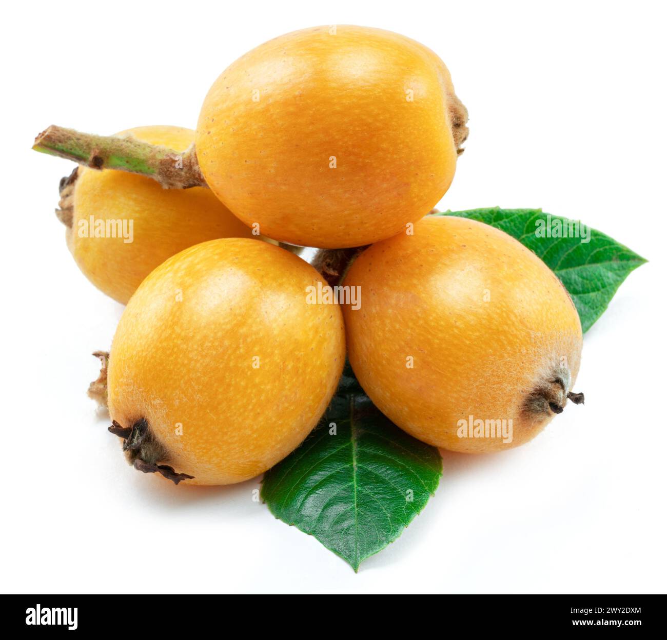 Loquats fruits with green leaves isolated on white background Stock ...