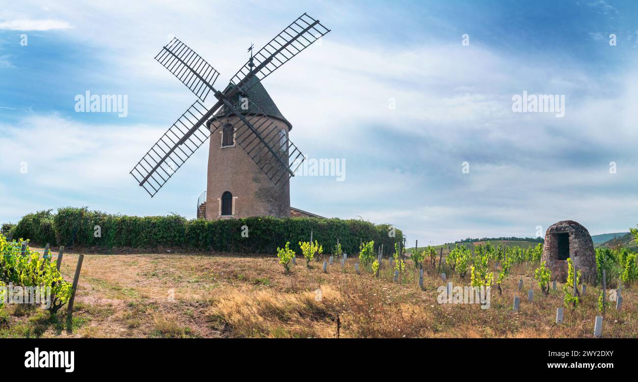The eponymous windmill of famous french red wine situated near ...