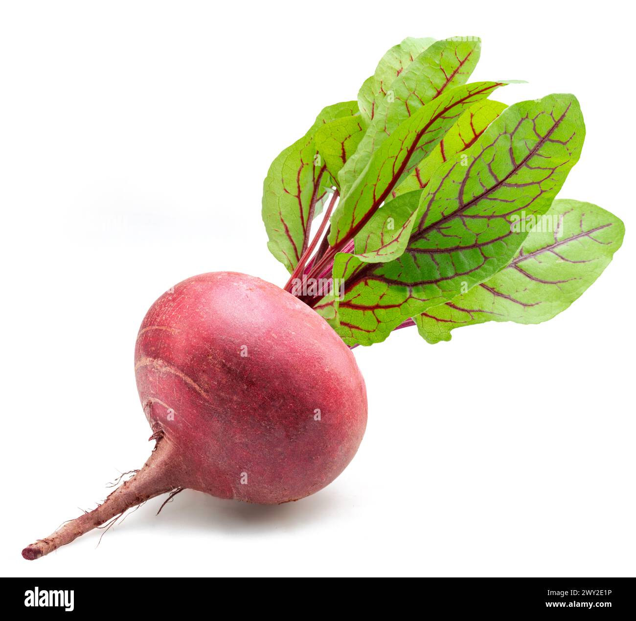Beetroot with greens hi-res stock photography and images - Alamy