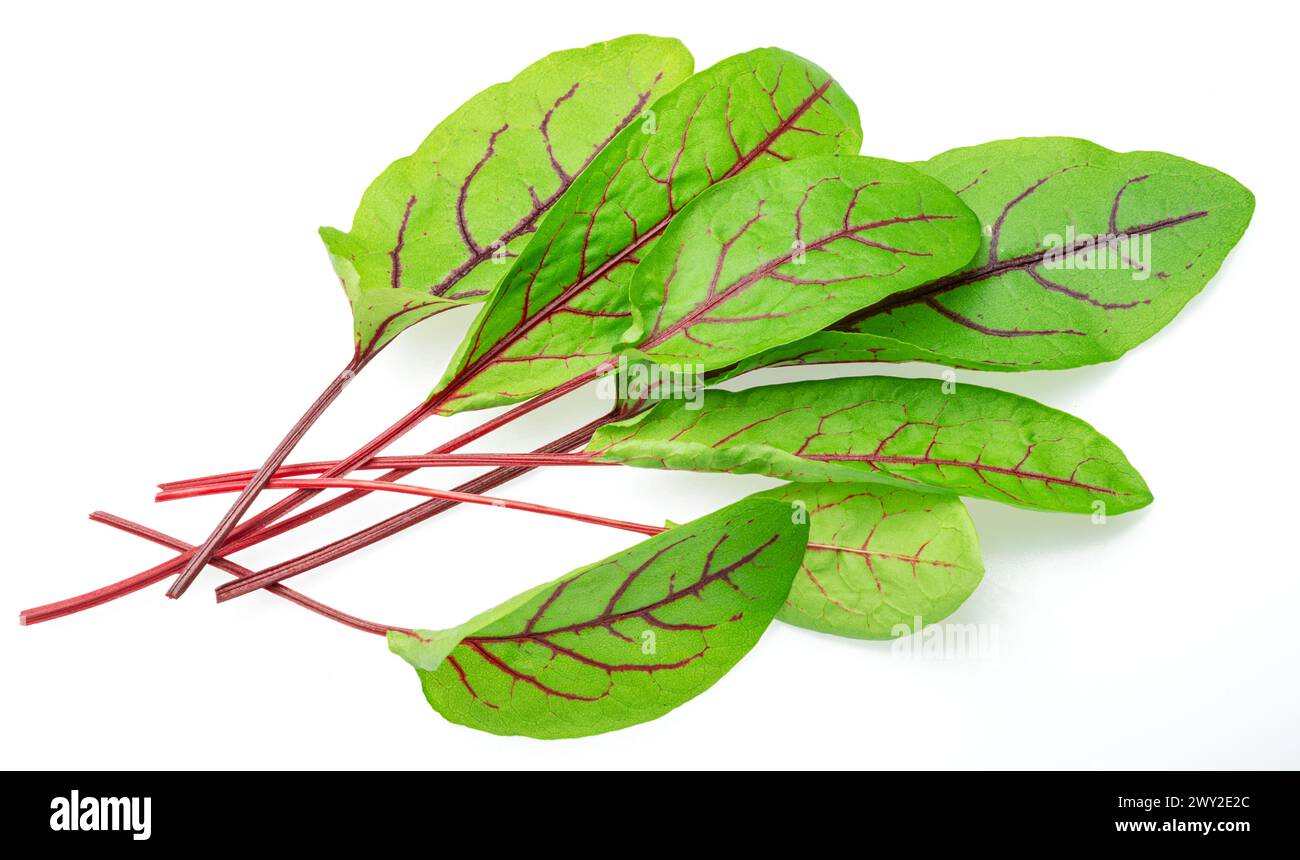 Fresh green beetroot leaves isolated on white background Stock Photo ...