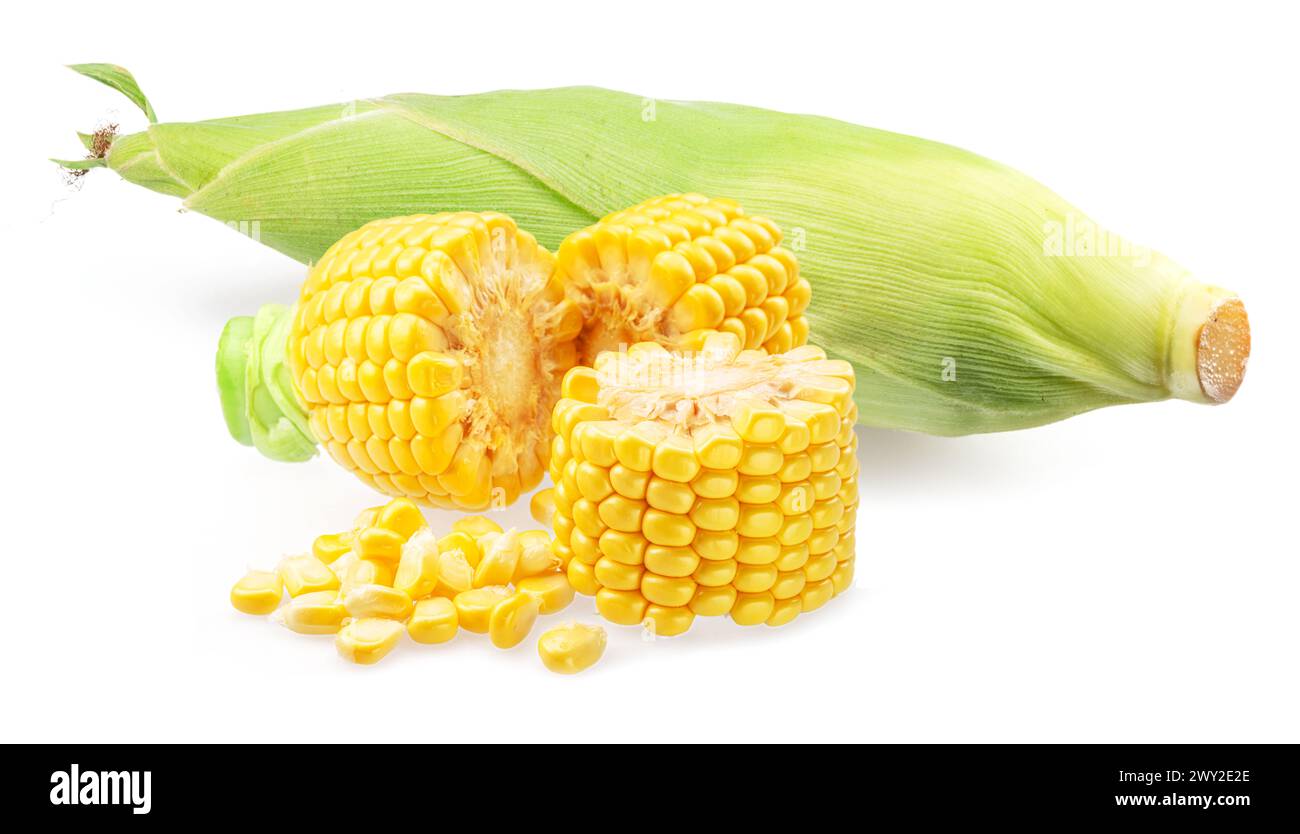 Cuts of maize cob or corn cob isolated on white background Stock Photo ...