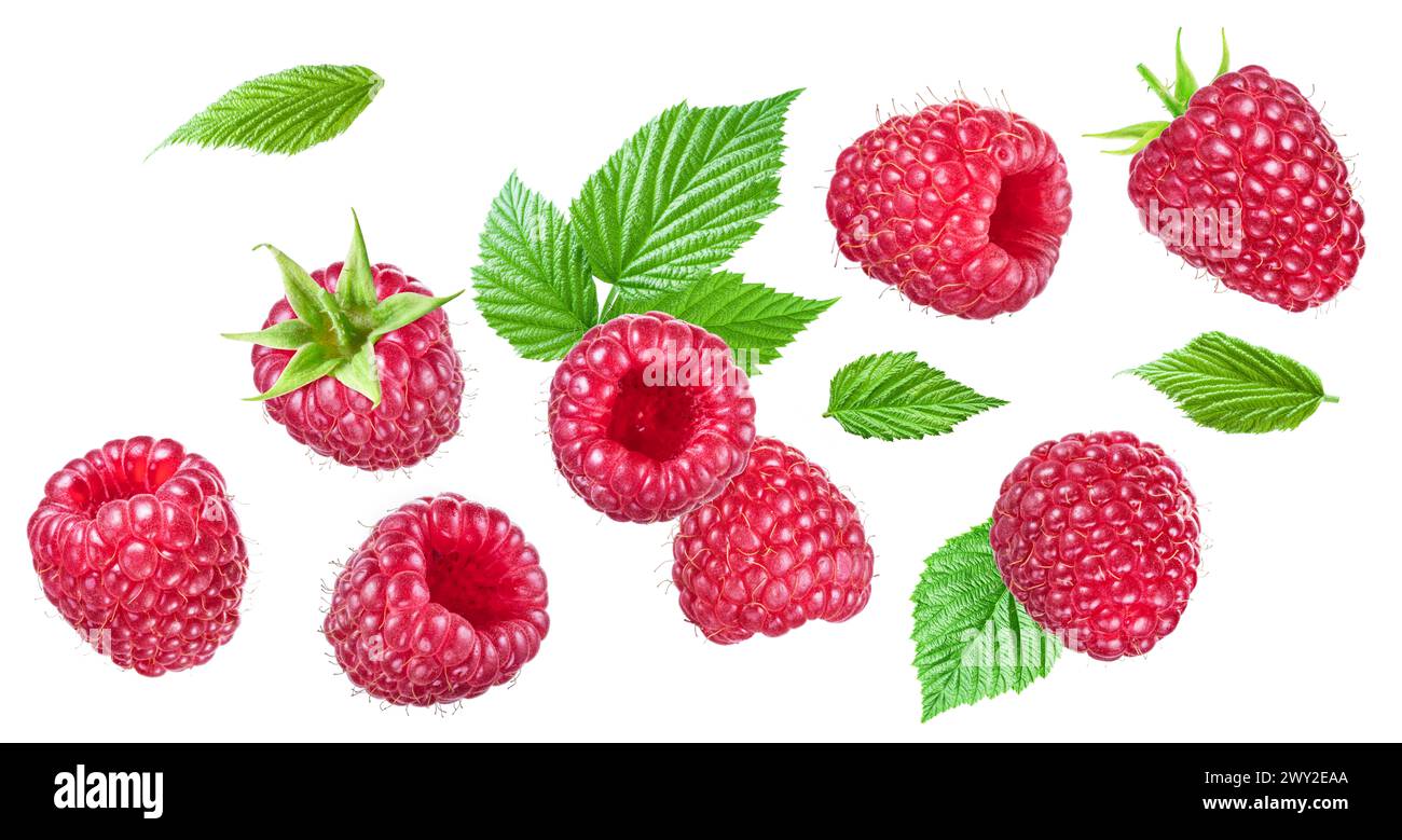 Four raspberries hi-res stock photography and images - Alamy
