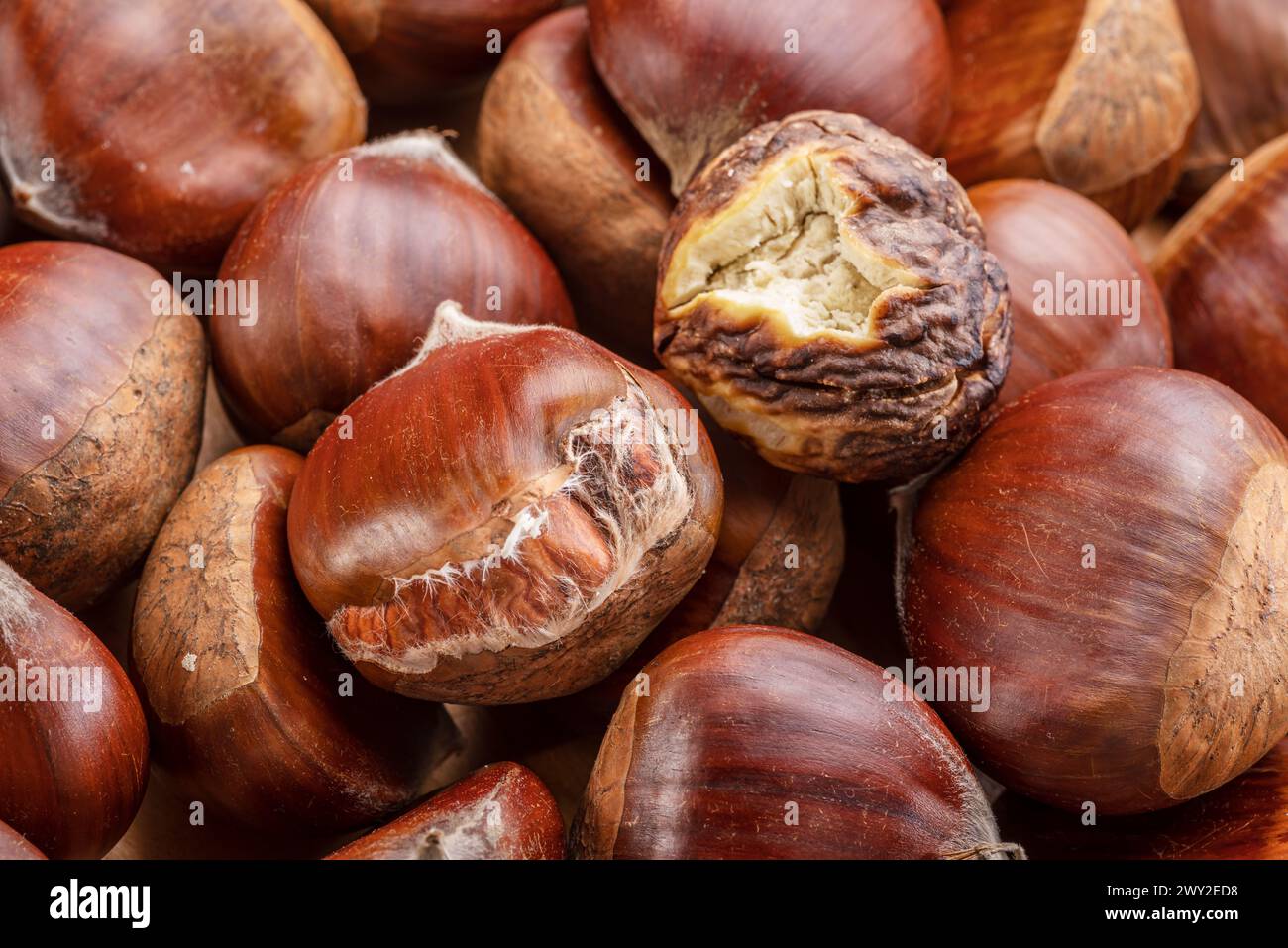 Edible sweet chestnuts with roasted chestnut. Great food background for ...