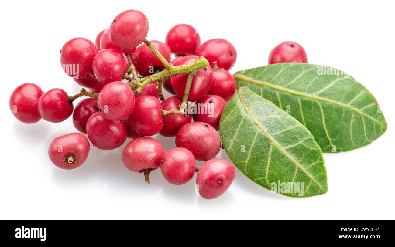 Fresh pink peppercorns on branch with green leaves isolated on white ...