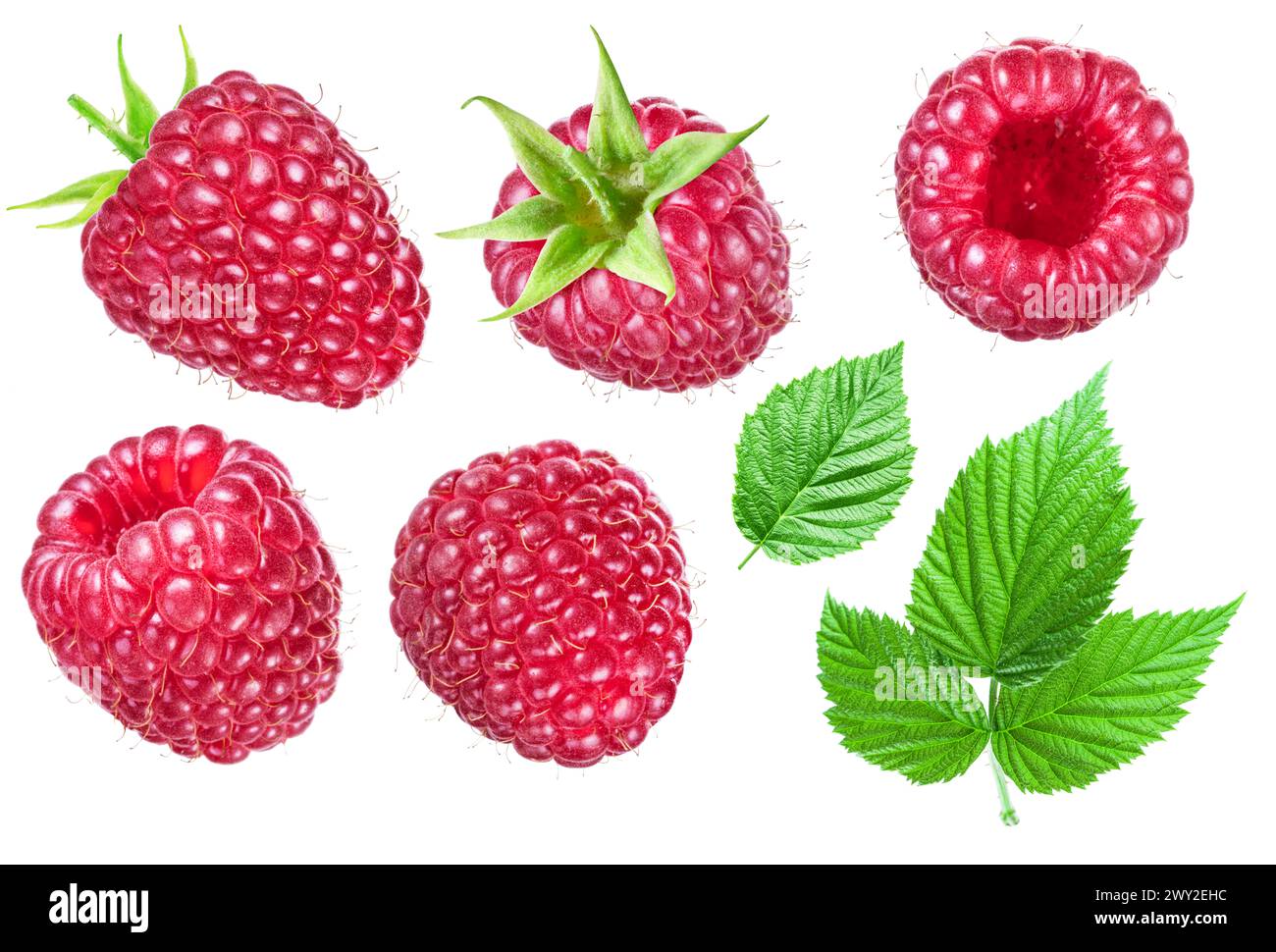 Four raspberries hi-res stock photography and images - Alamy