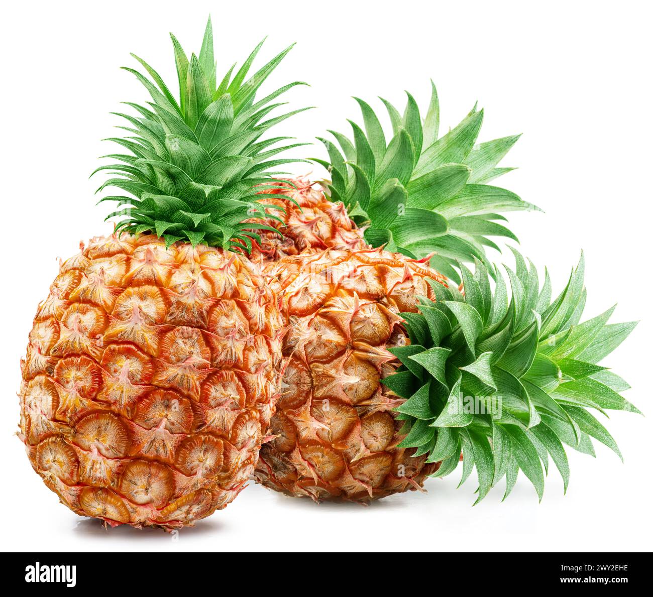 Ripe pineapple and pineapple slices isolated on white background. File ...