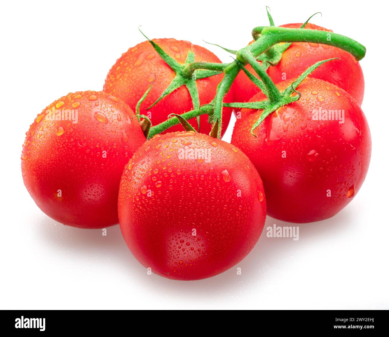 Tomato branch covered with water drops isolated on white background ...