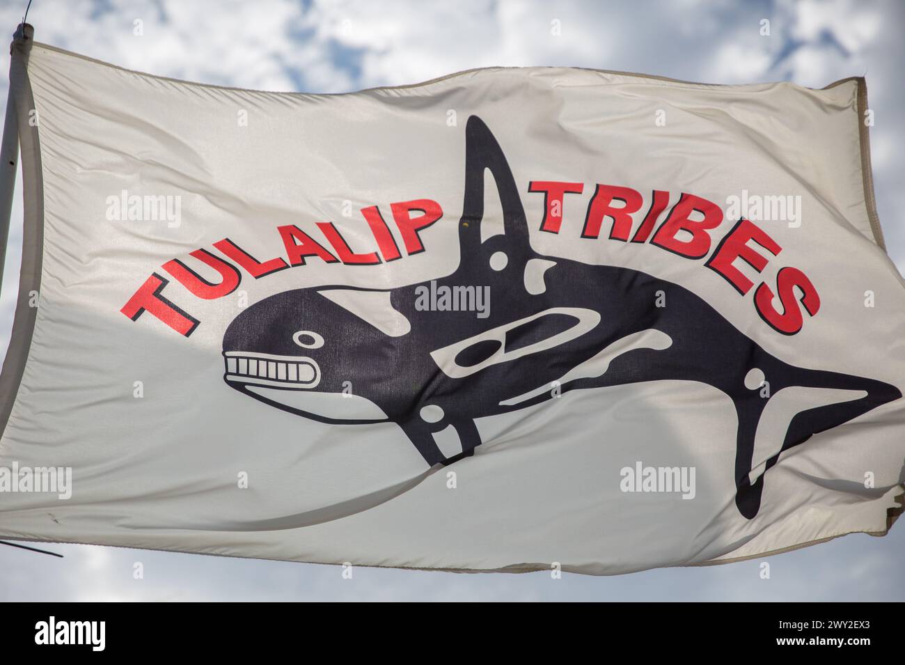 Indigenous Tribal Flags Stock Photo - Alamy