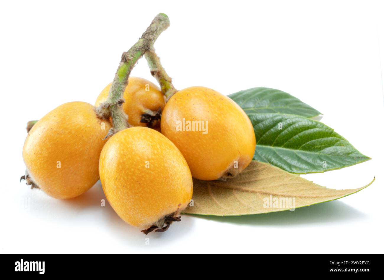 Ripe perfect loquats fruits with green leaves isolated on white ...