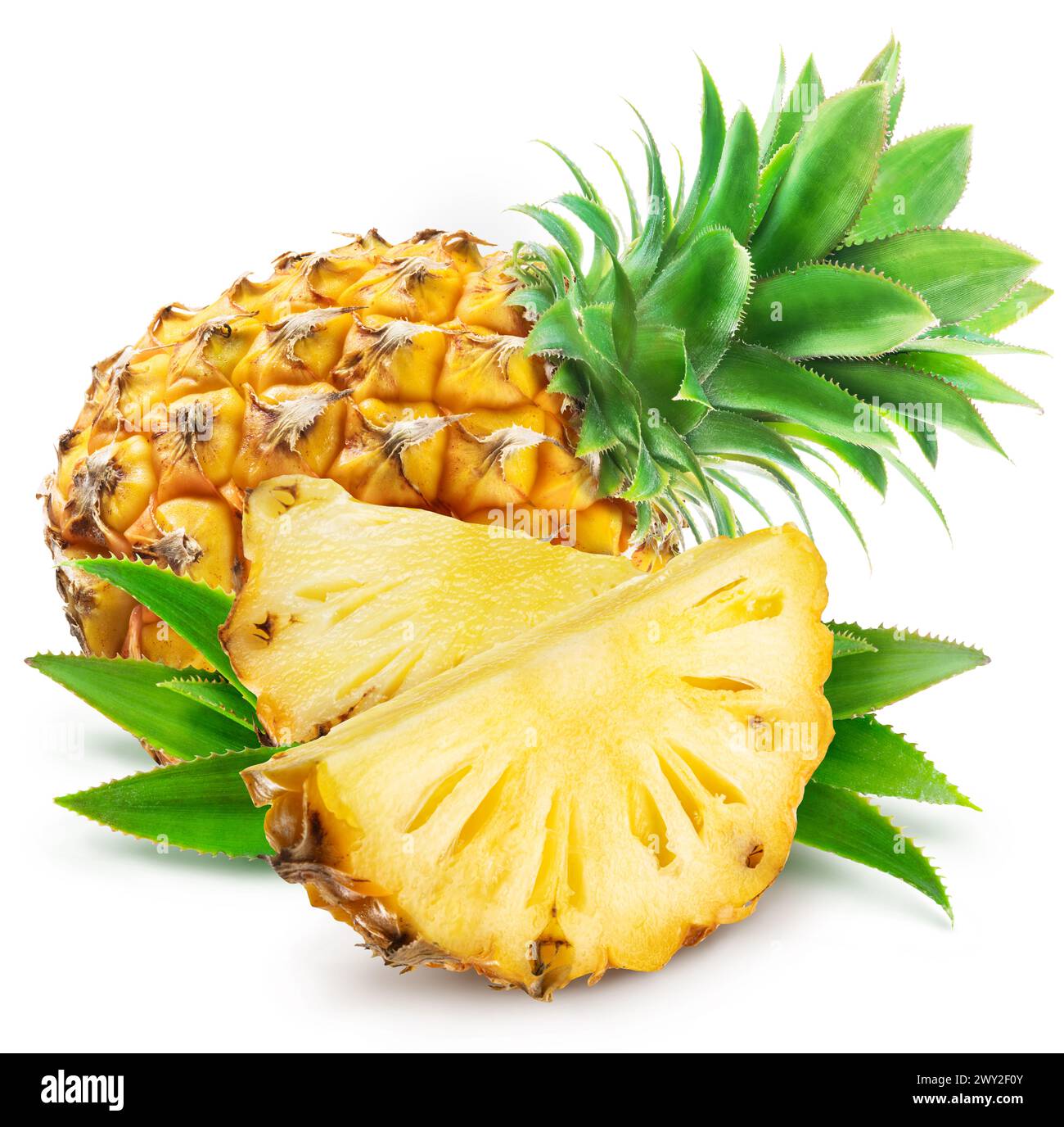 Pineapple and pineapple slices on white background. File contains ...