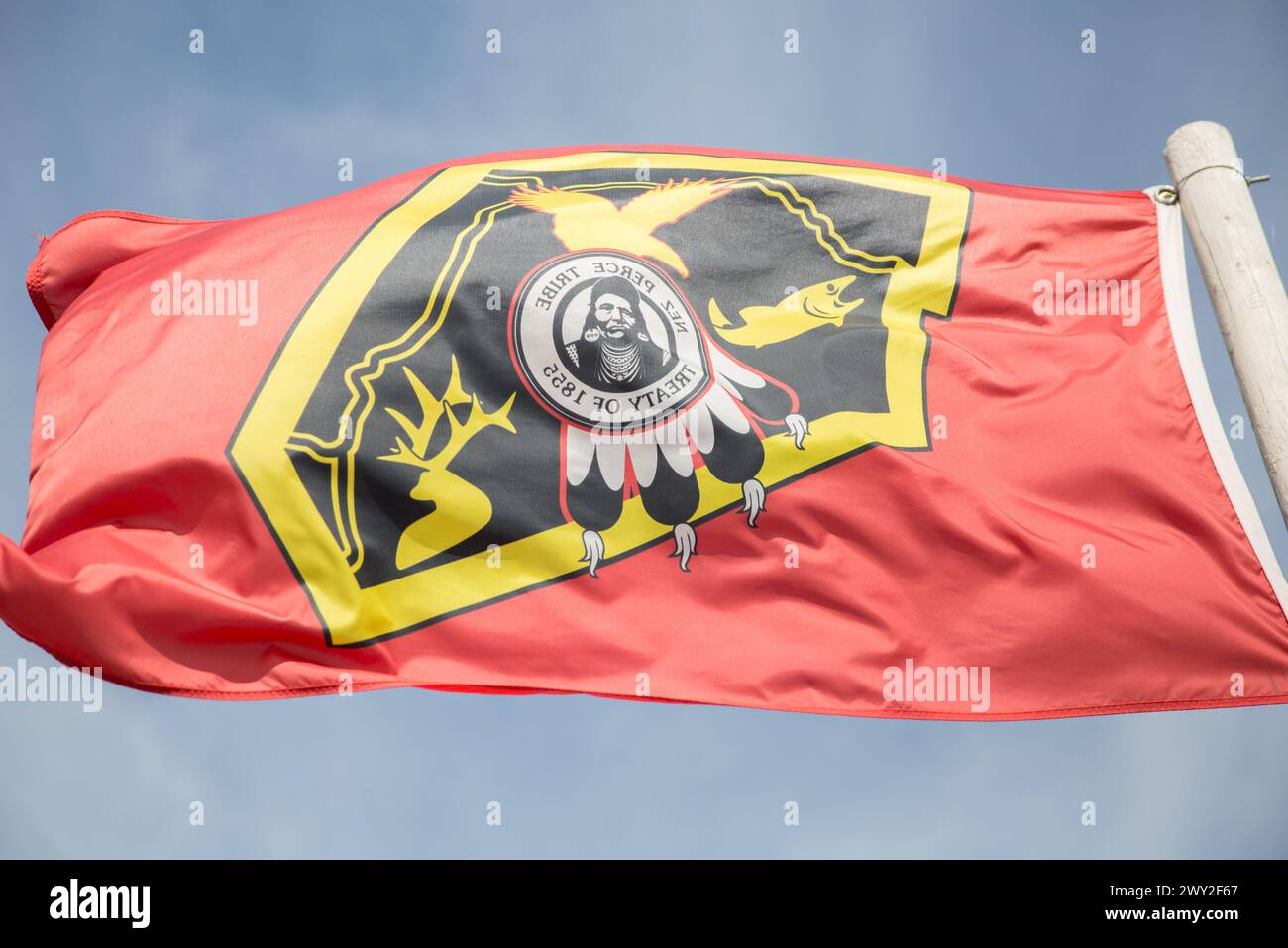 Nez perce tribe hi-res stock photography and images - Alamy