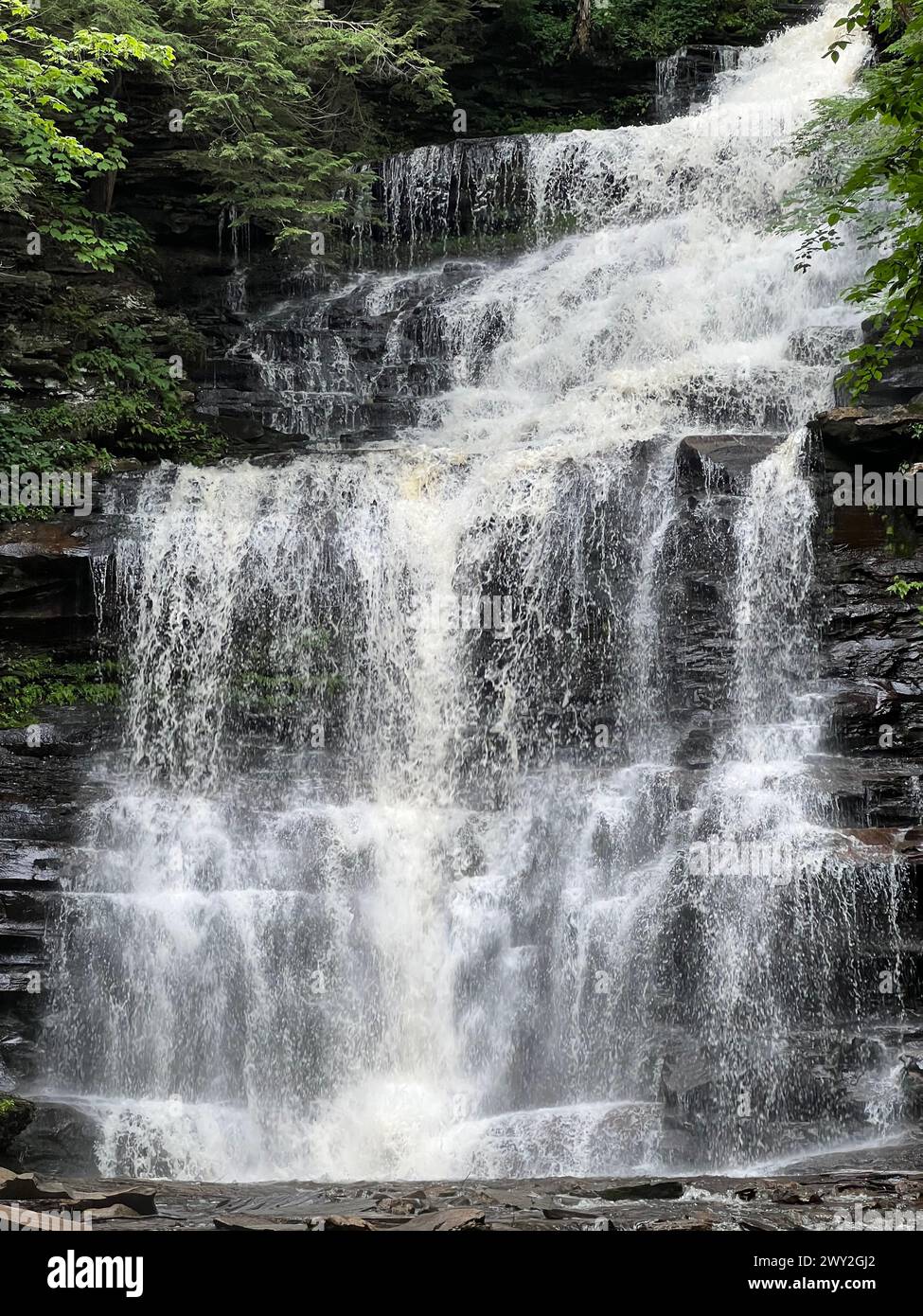 Ganoga Falls tumbles through Ricketts Glen State Park in Benton, Pennsylvania Stock Photo - Alamy