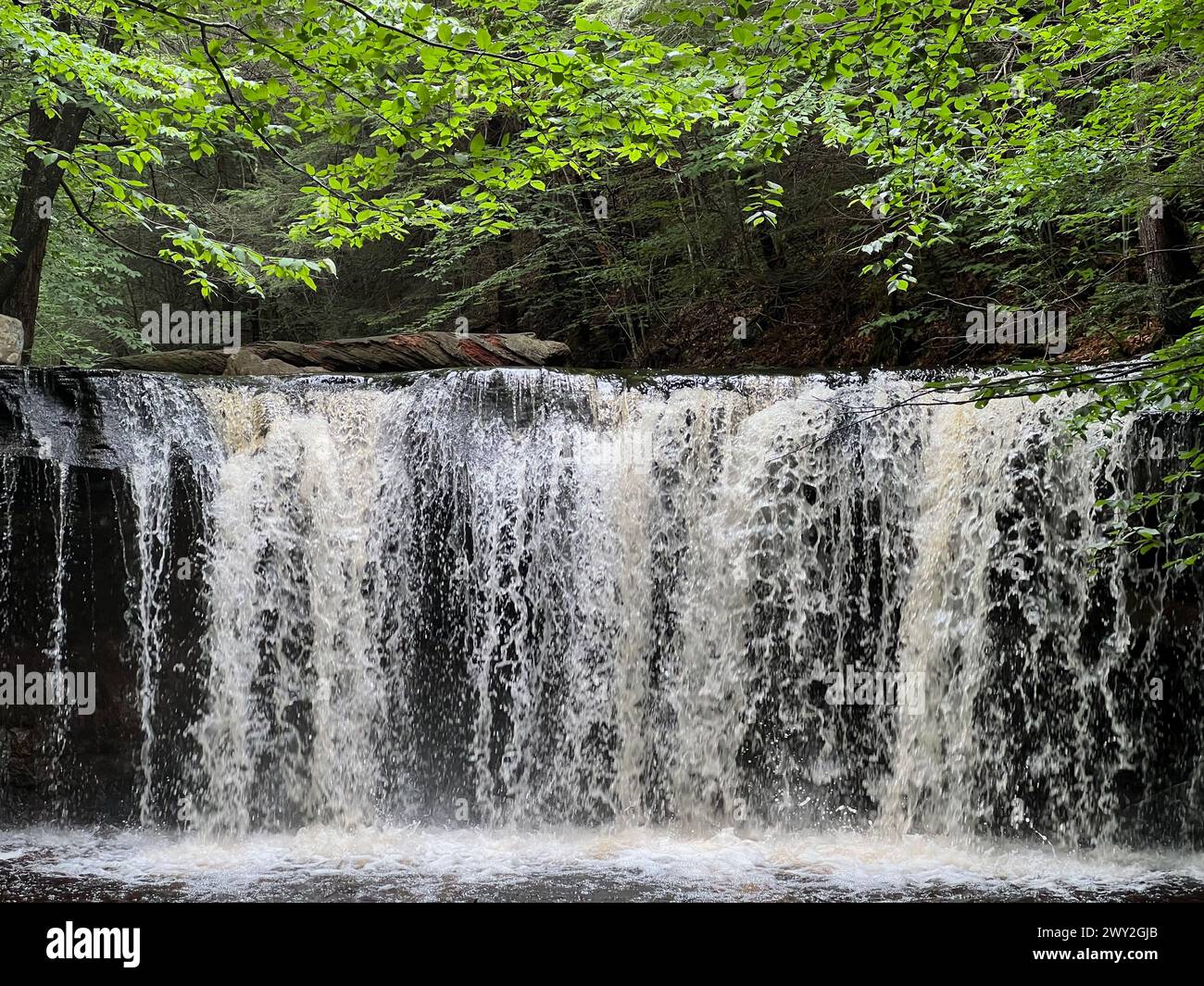 Oneida Falls tumbles through Ricketts Glen State Park in Benton ...