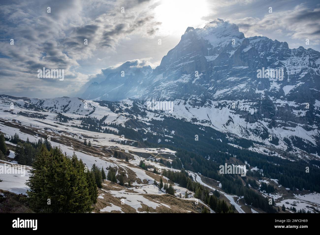 Wetterhorn and Mattenberg in spring, Grindelwald, Berner Oberland ...