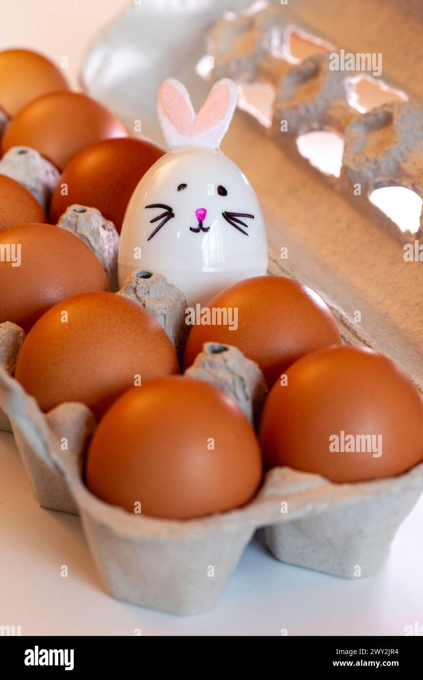 Still life of dozen brown eggs in a carton with one white Plastic ...