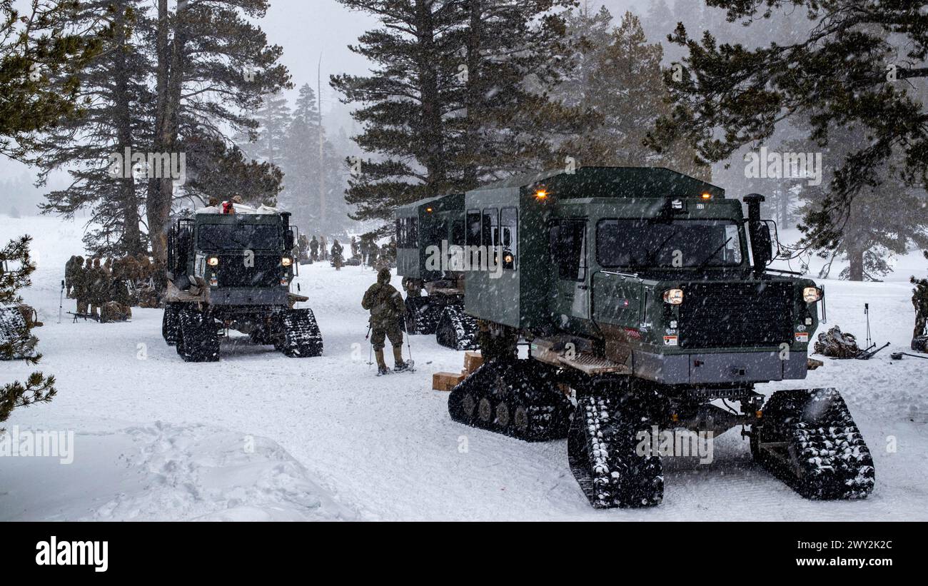 U.S. Marines with 3rd Battalion, 6th Marine Regiment, 2d Marine ...