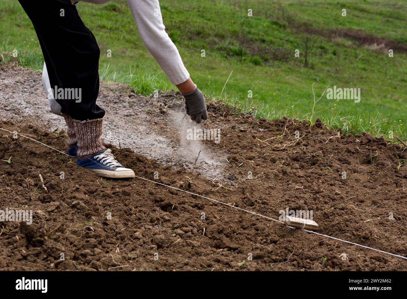 Close up of a farmers hand spreading ash in a furrow on a field during ...