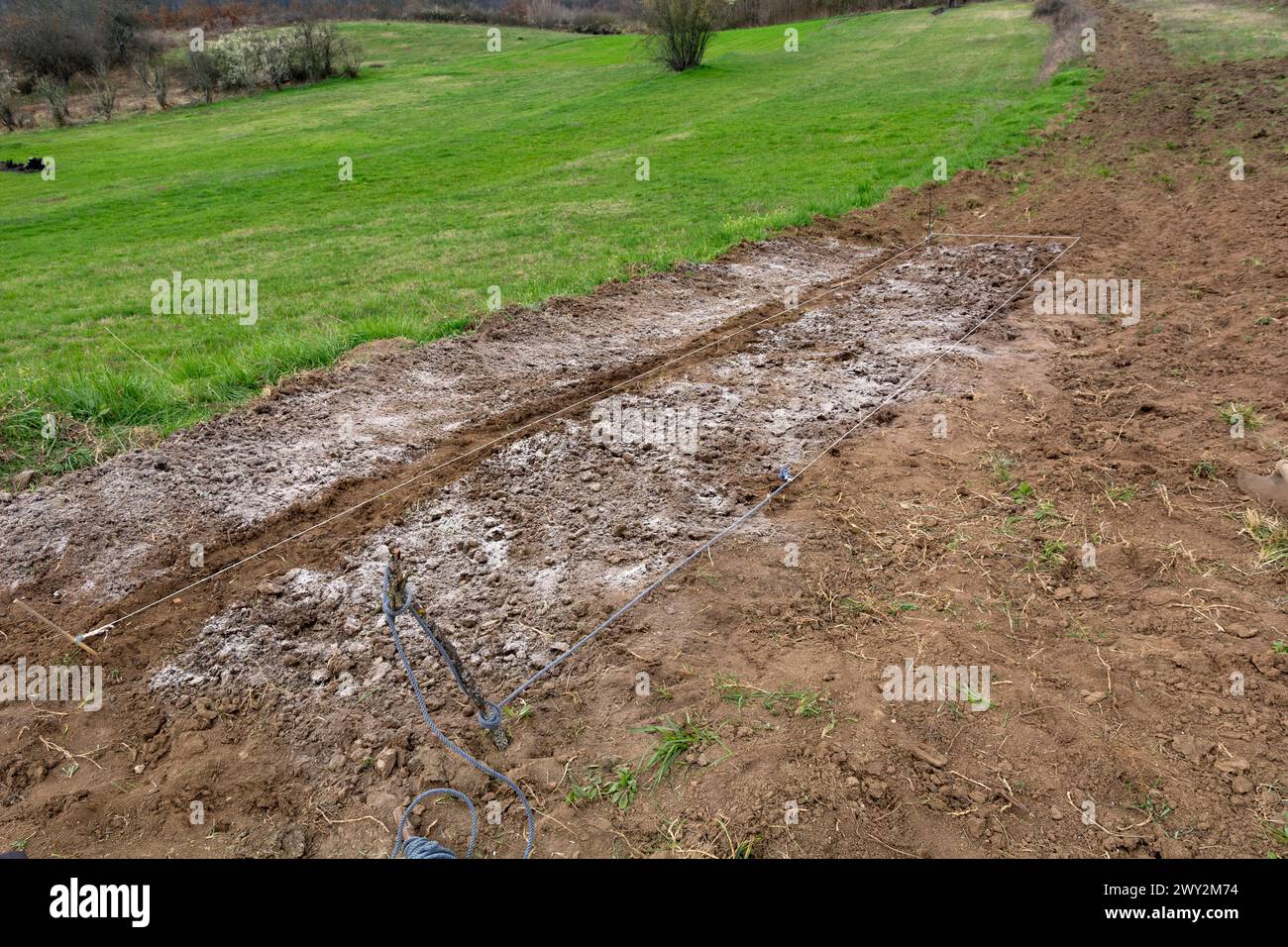 Furrows in a field dusted with wood ash to deter pests and enrich the ...