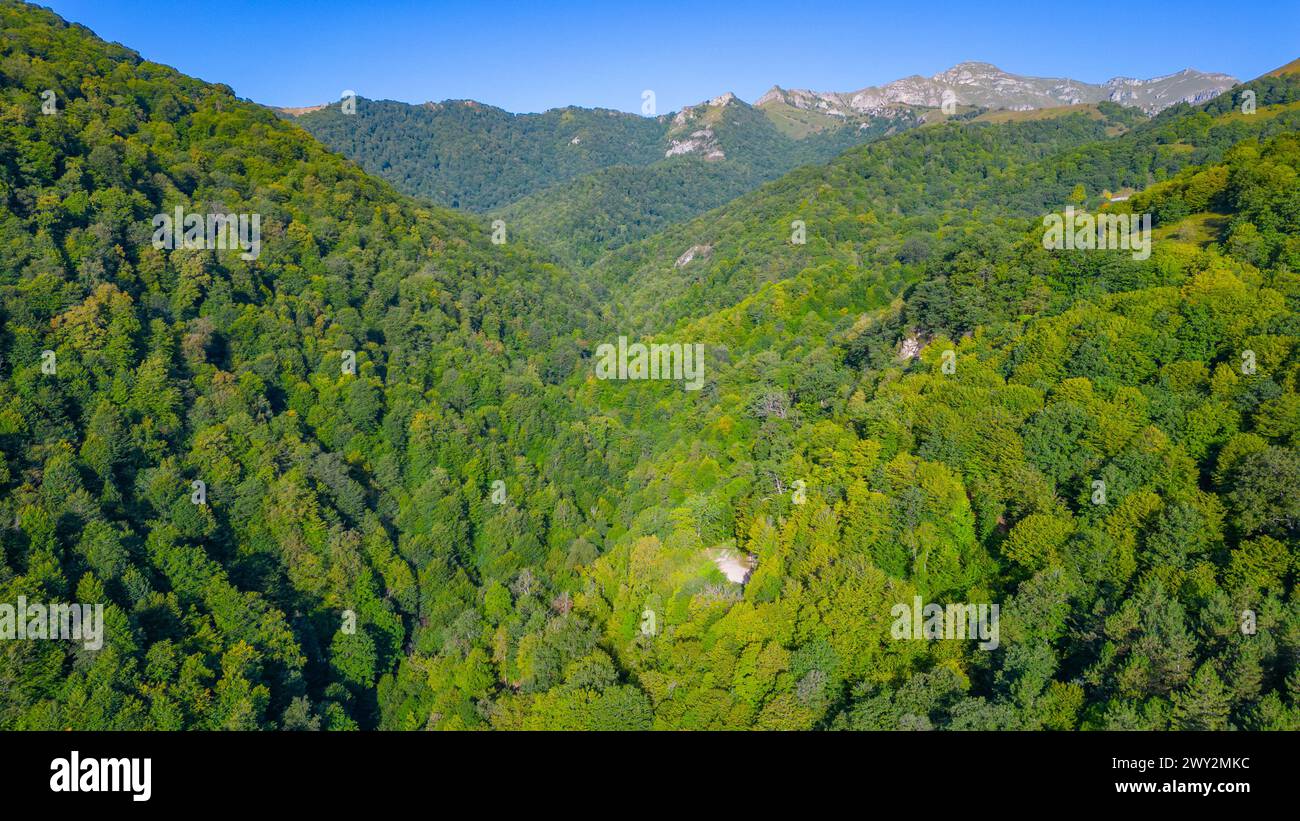 Dilijan national park hi-res stock photography and images - Alamy