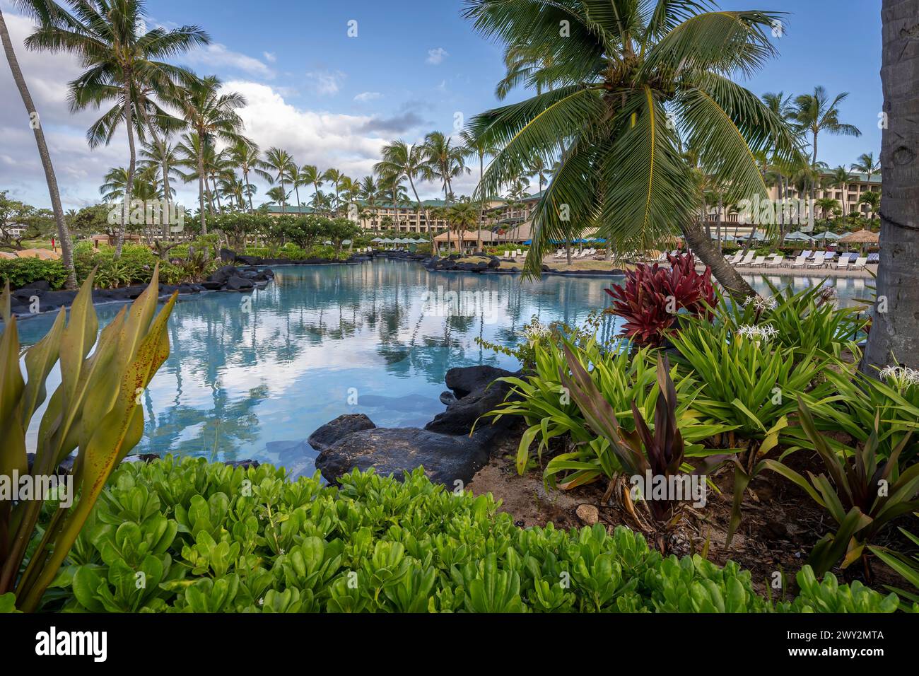 Palm trees reflect in the beautiful turquoise water of one of the ...