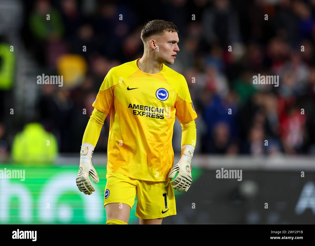 Brighton goalkeeper bart verbruggen hi-res stock photography and images ...