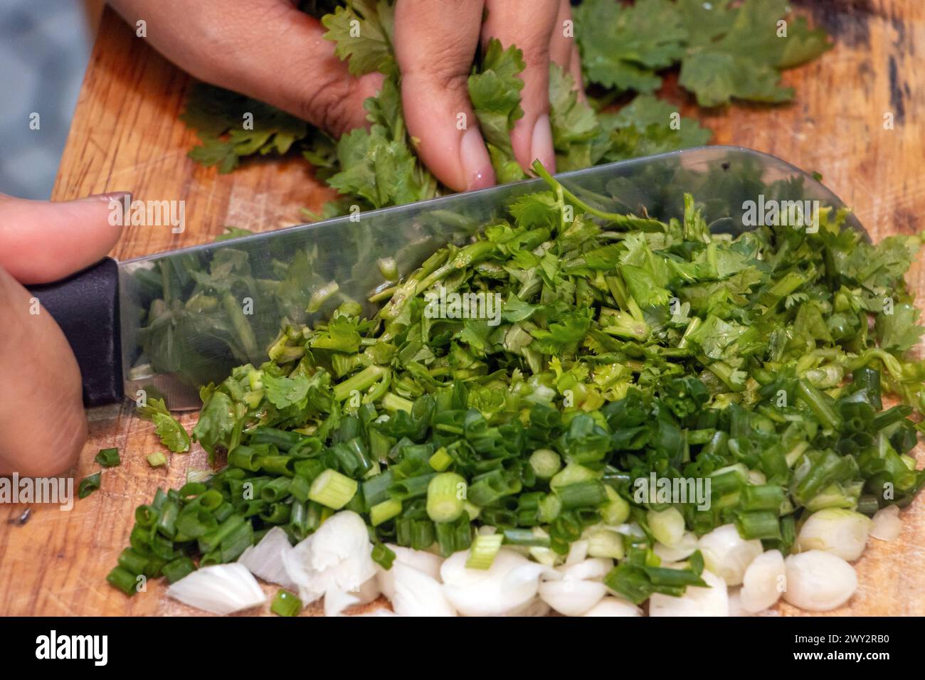 Slicing cilantro - coriander (Coriandrum sativum) on a kitchen cutting ...