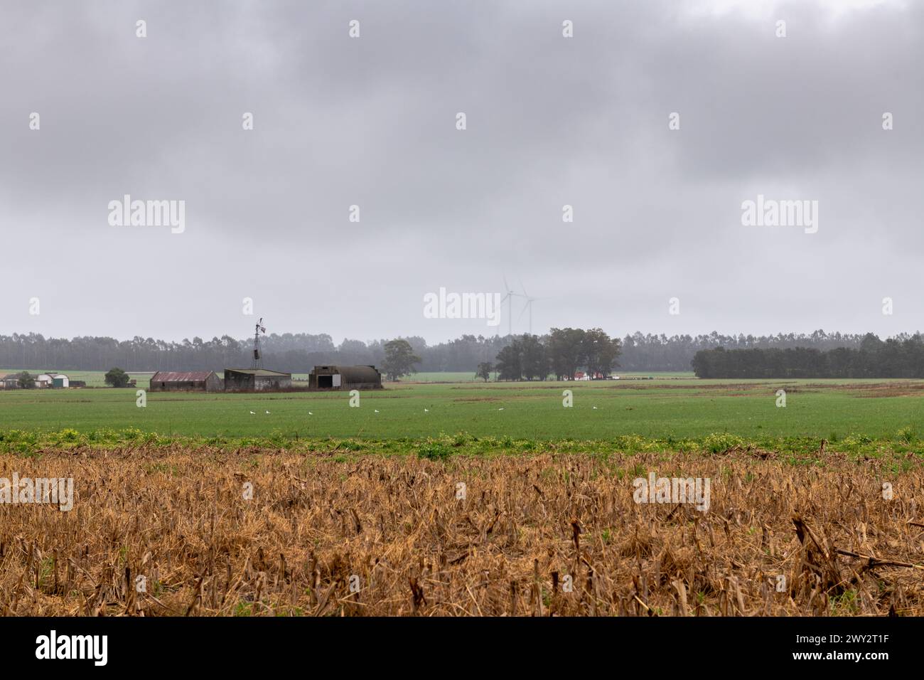 Agricultural field with buildings hi-res stock photography and images ...