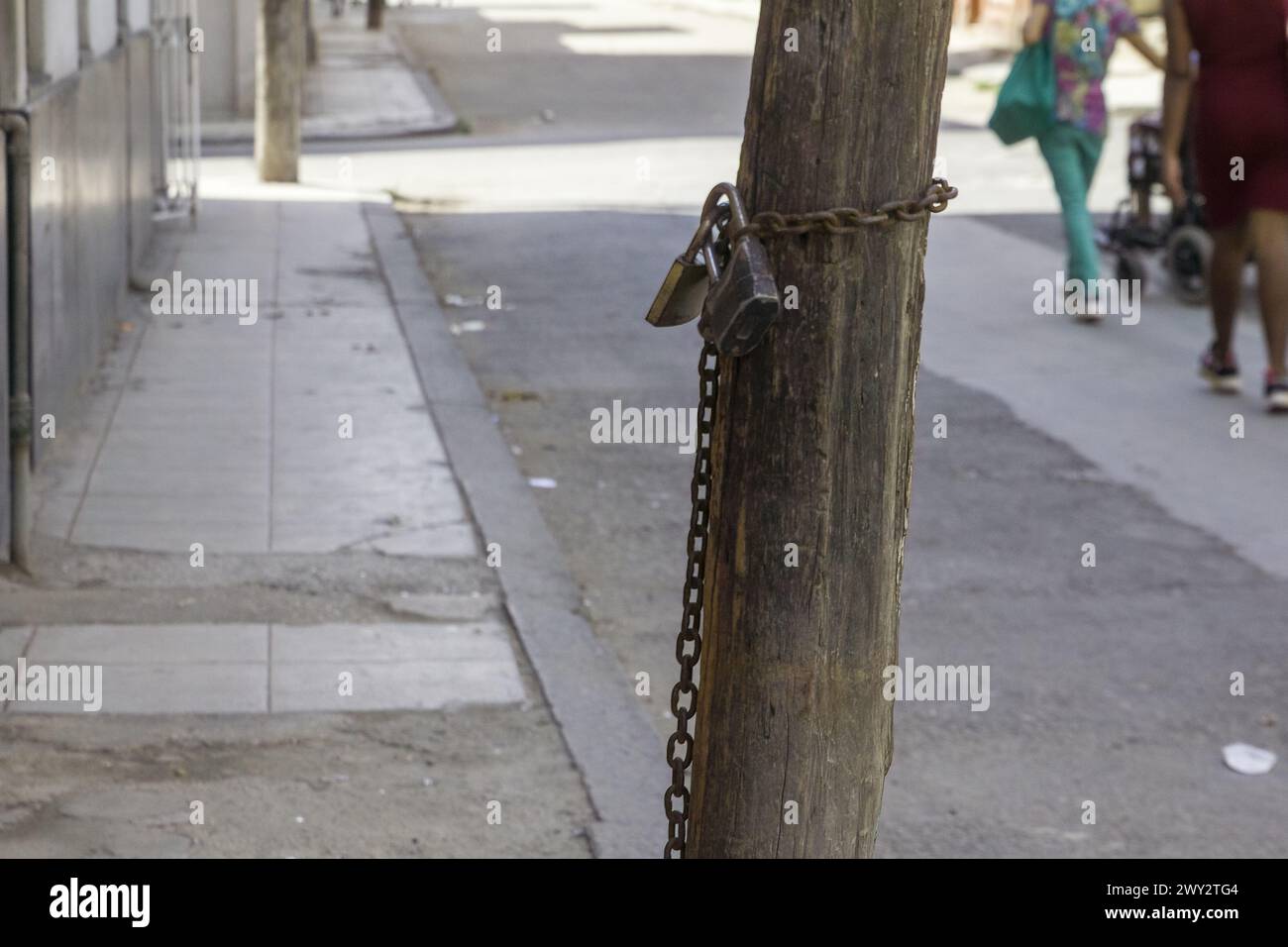 On an electric pole hi-res stock photography and images - Alamy