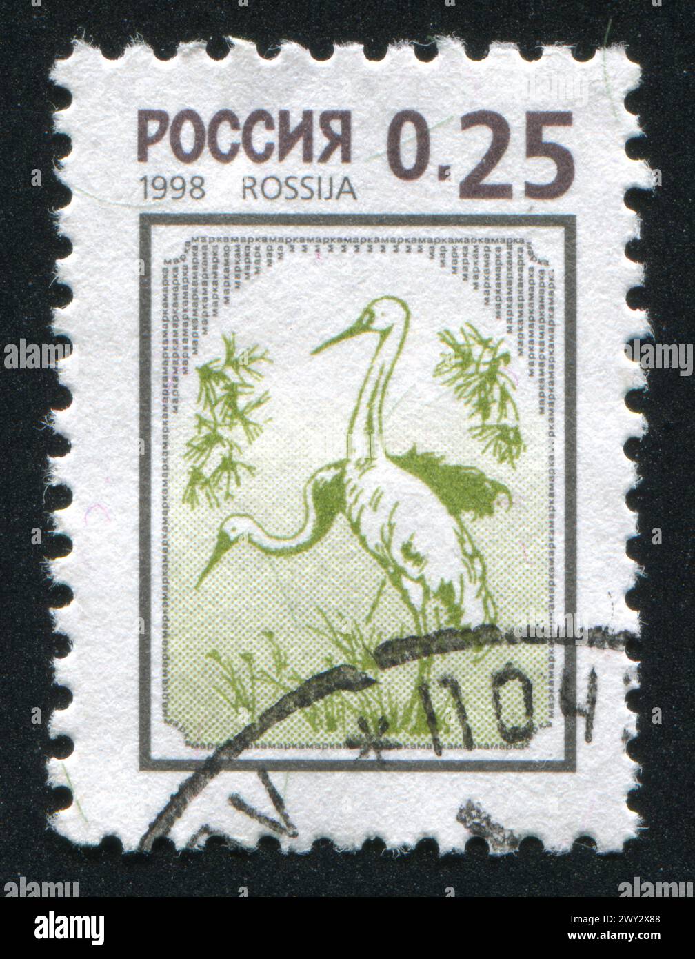 RUSSIA - CIRCA 1998: stamp printed by Russia, shows Herons, circa 1998 ...