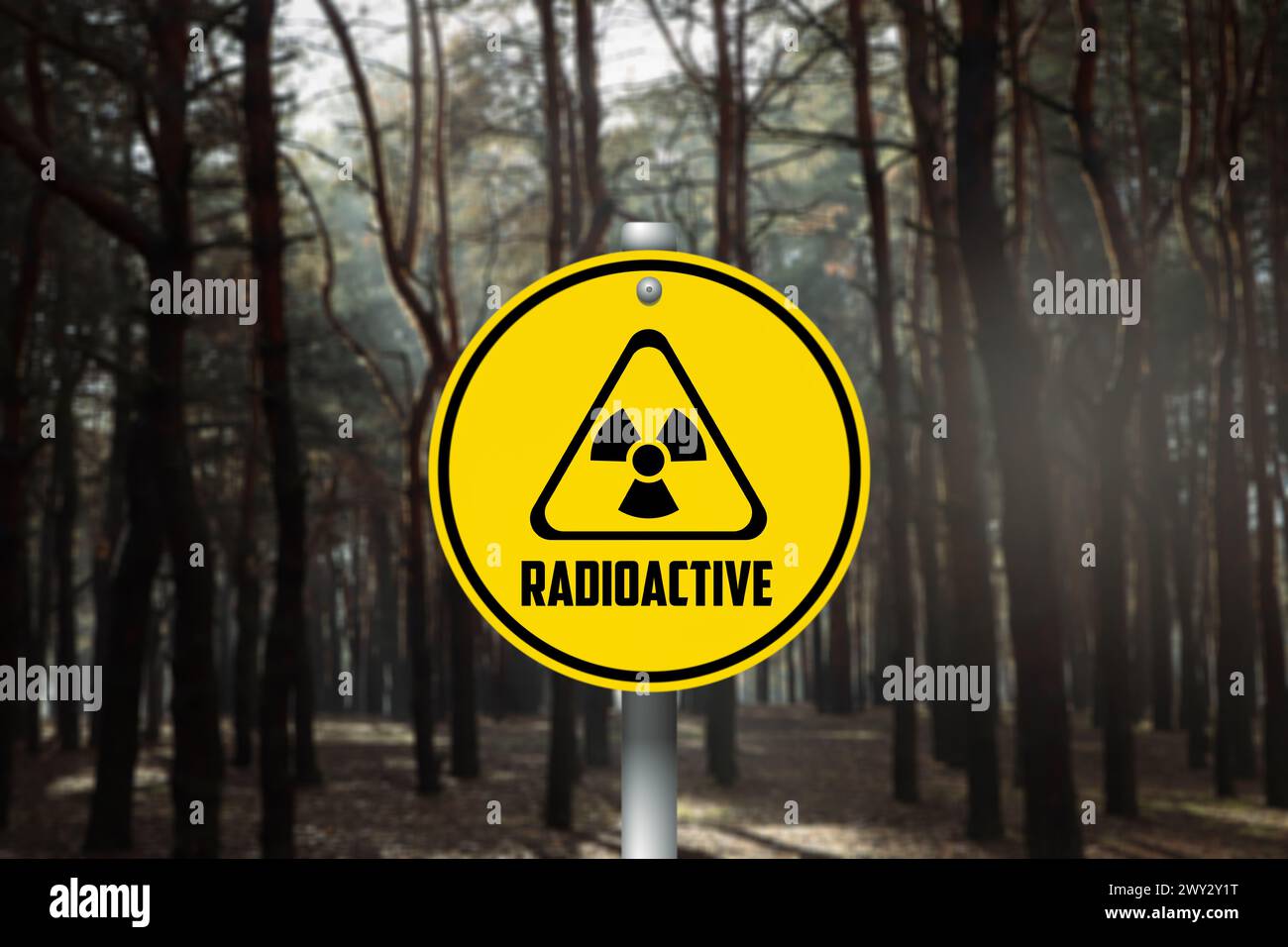 Radioactive pollution. Yellow warning sign with hazard symbol in forest ...