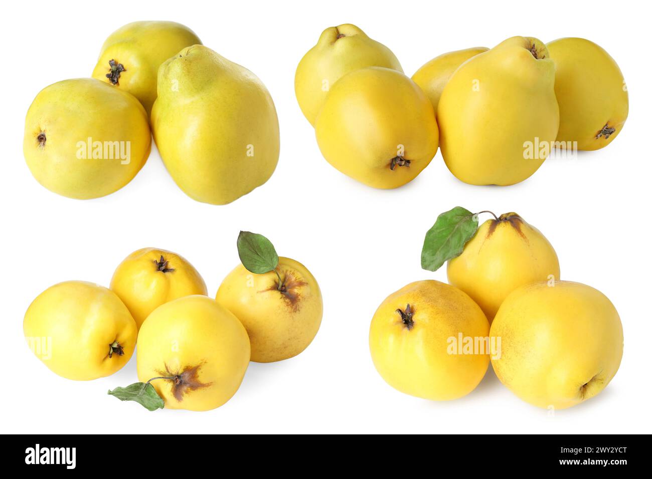 Fresh ripe quince fruits isolated on white, set Stock Photo - Alamy