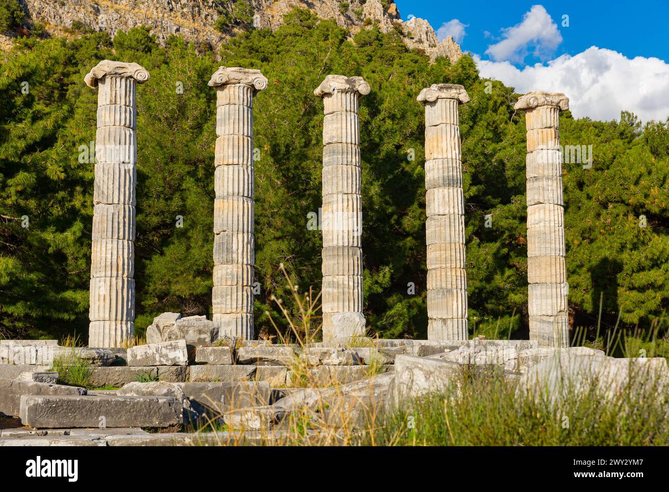 Athena temple in Priene, Turkey Stock Photo - Alamy
