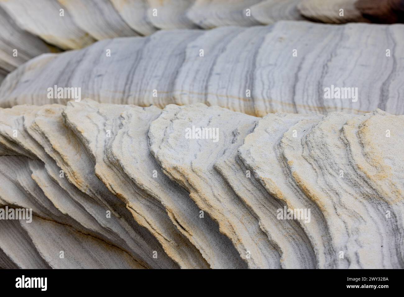Sydney sandstone rock erosion hi-res stock photography and images - Alamy
