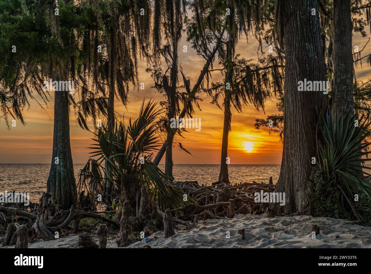 Beautiful Pink Sky at Sunset Stock Photo - Alamy