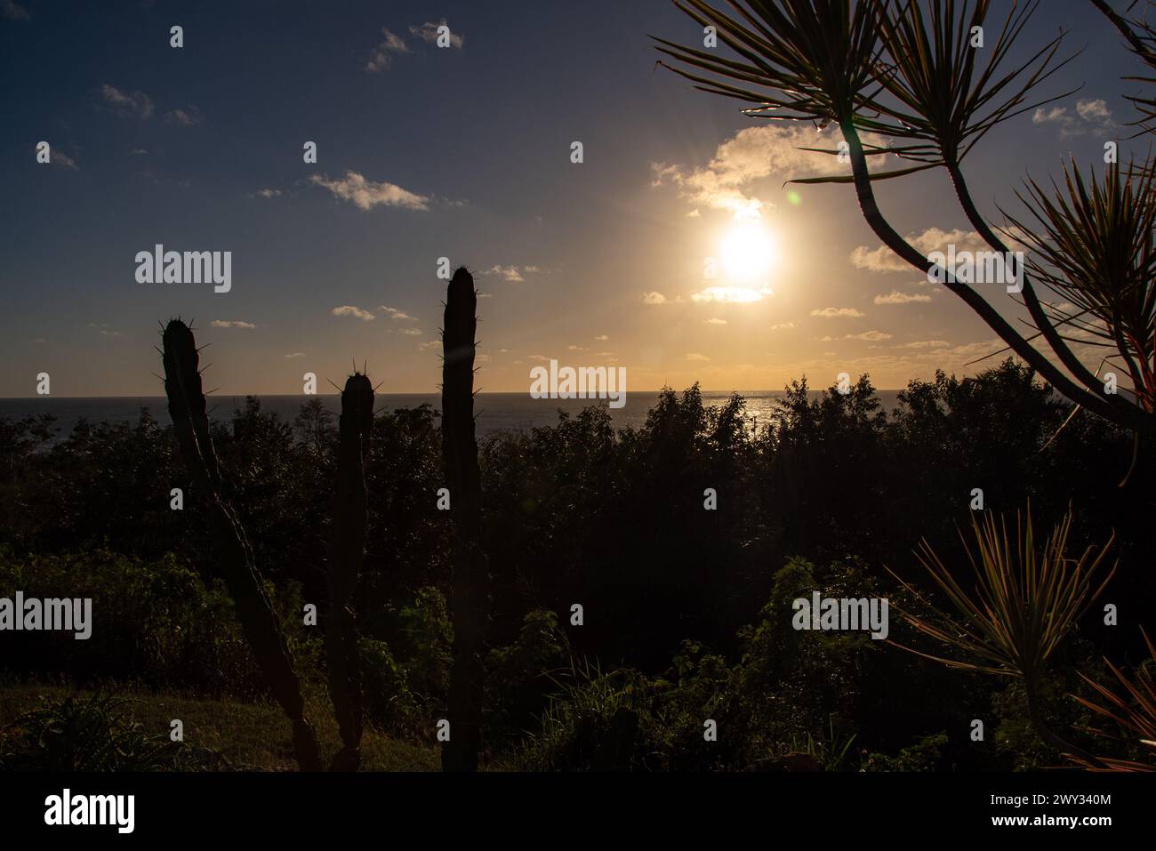 Beautiful golden sunset in Rincon, Puerto Rico the most western point ...