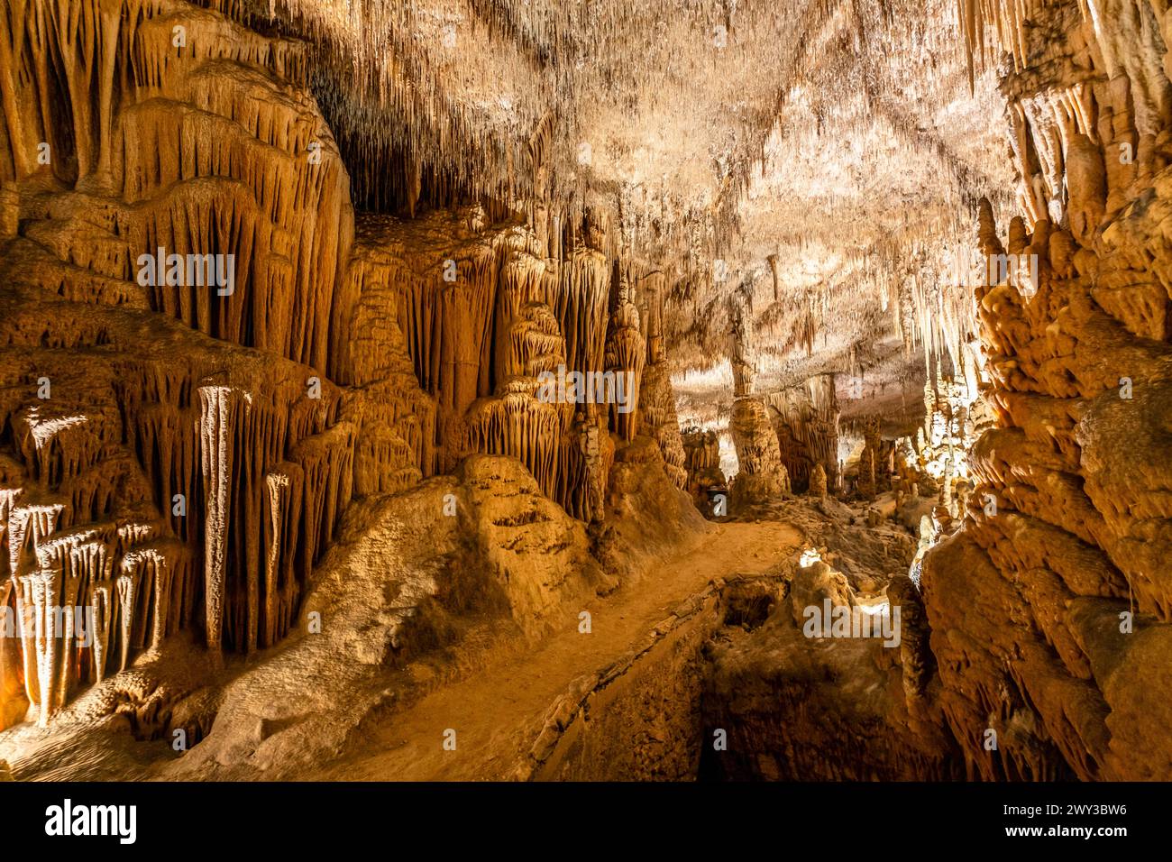 Amazing photos of Drach Caves in Mallorca, Spain Stock Photo - Alamy