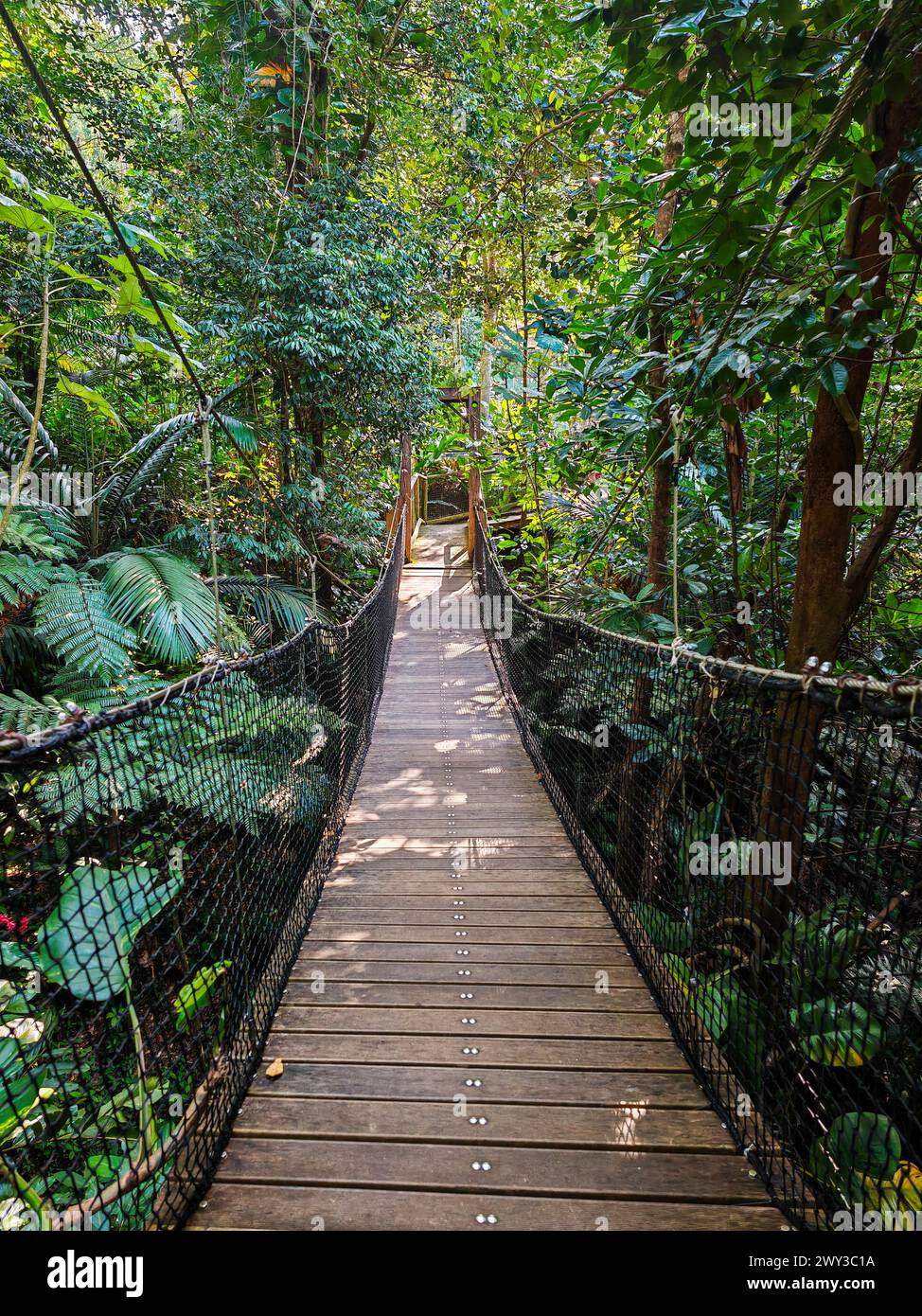 Caribbean flora fauna hi-res stock photography and images - Alamy